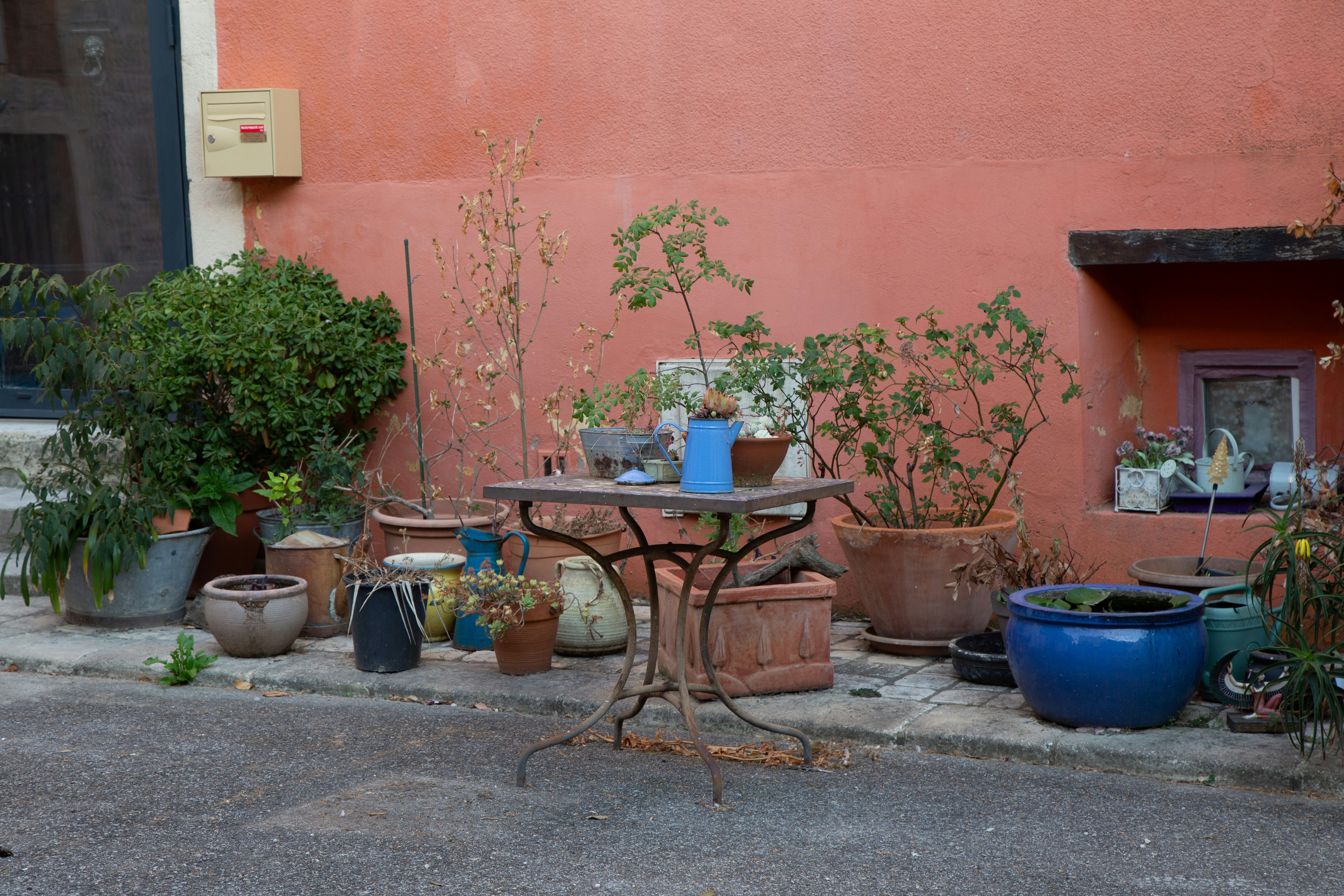 A quaint outdoor scene featuring a table surrounded by various potted plants in an urban setting.