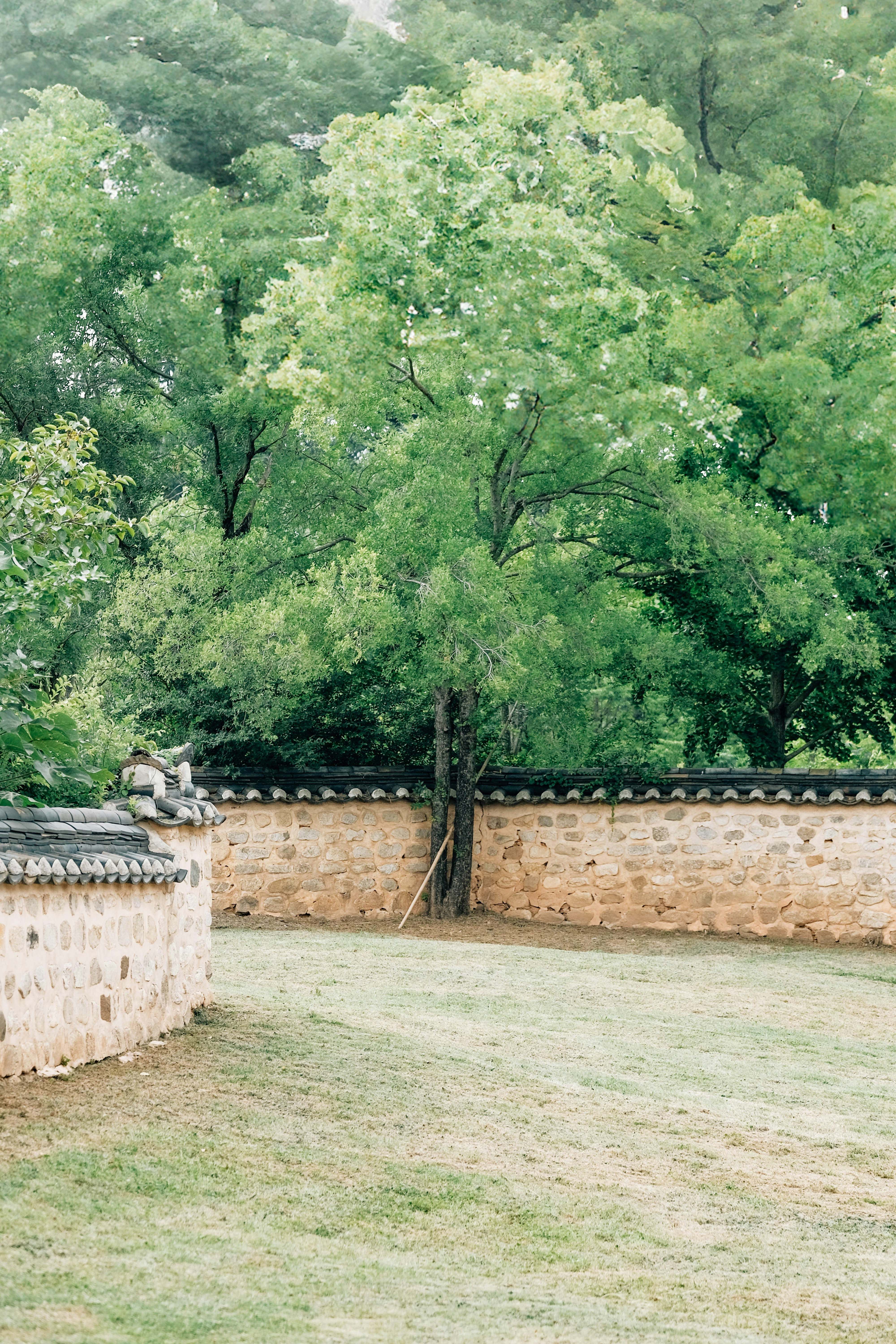 Stone wall and lush trees: a quiet courtyard beyond the keeper’s boundary