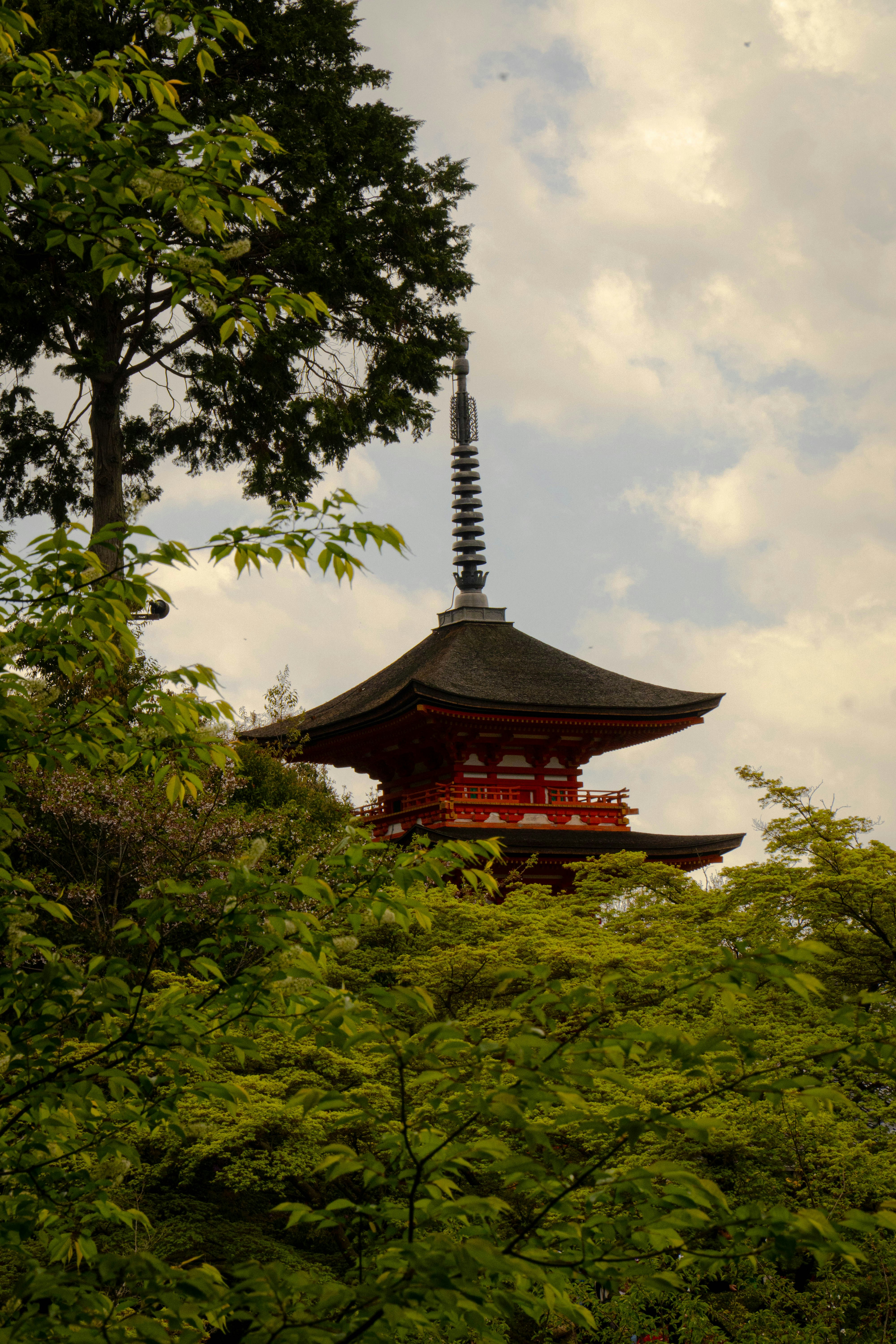 A traditional japanese pagoda towers above greenery.