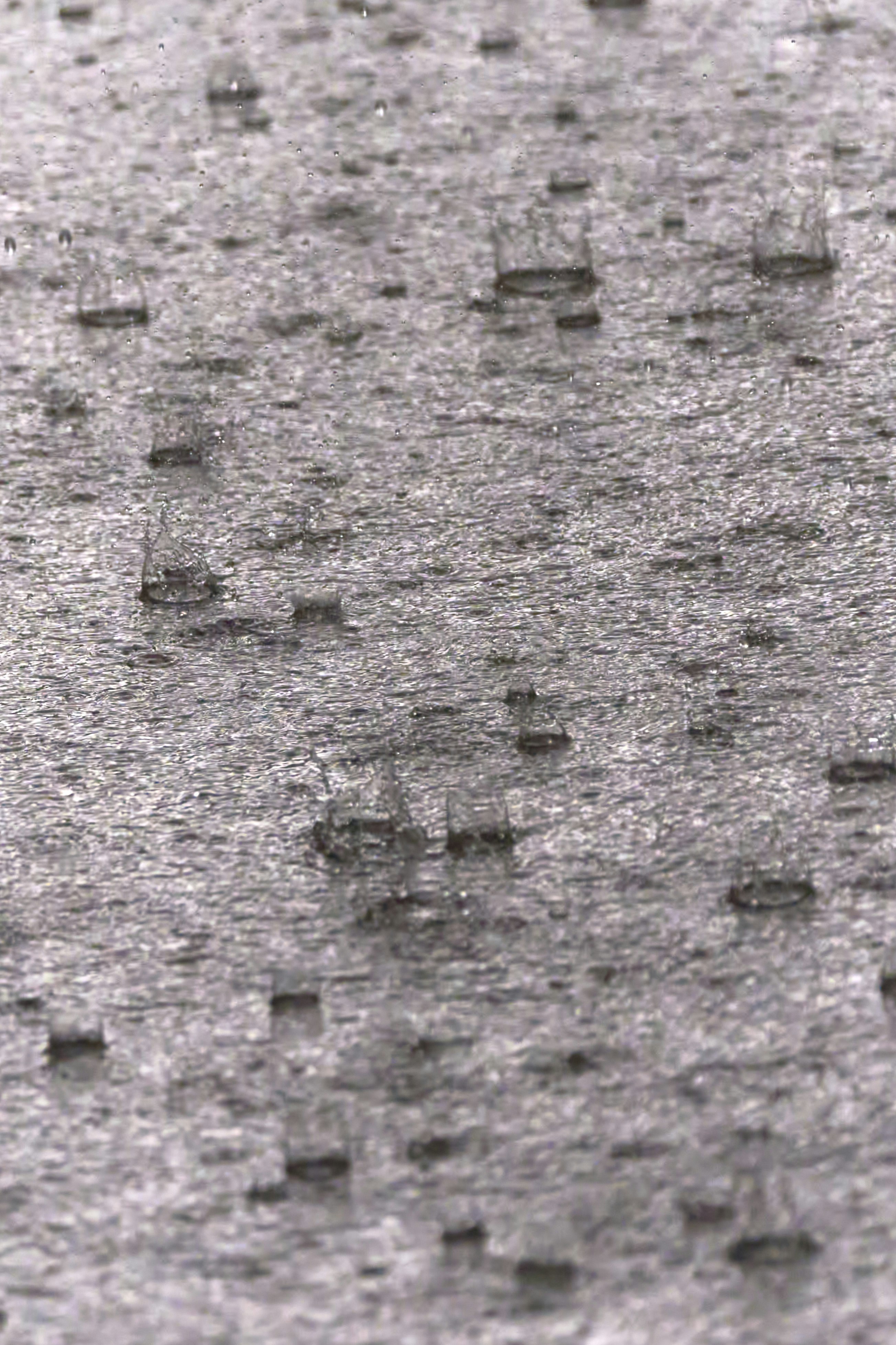 Symphony of Raindrops on Water's Surface