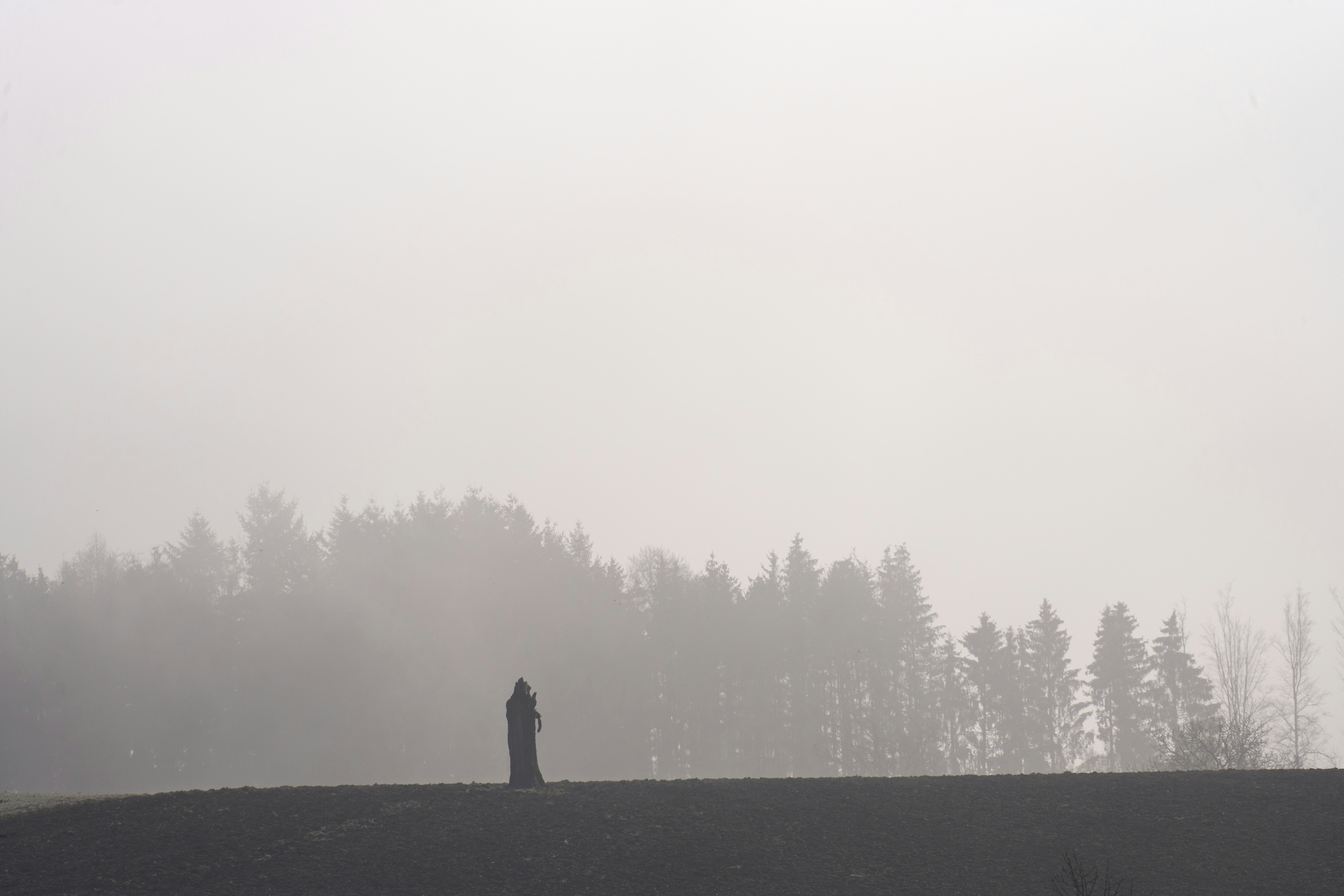 Whispers of Solitude in the Mist