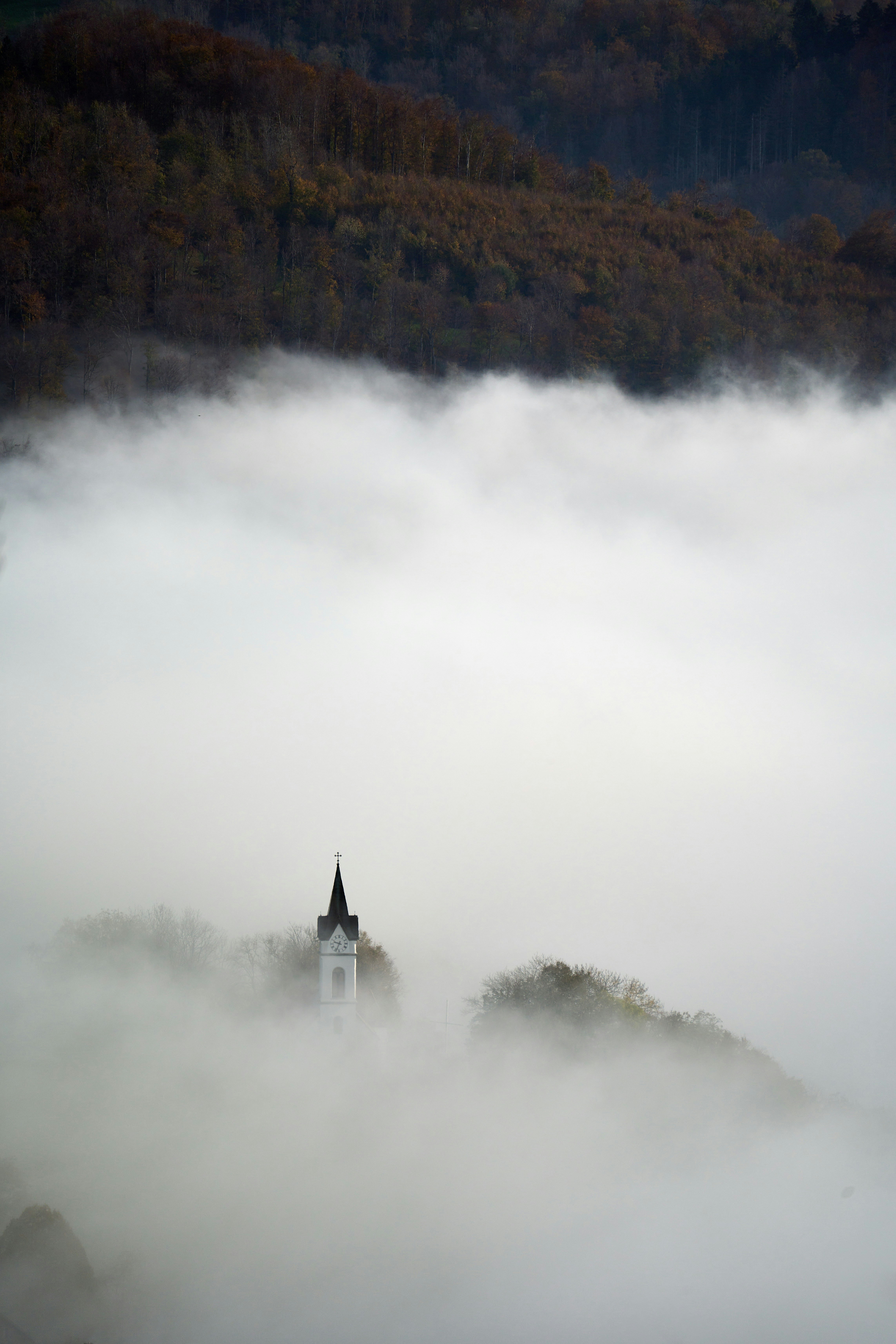 Church steeple emerges from a sea of fog.