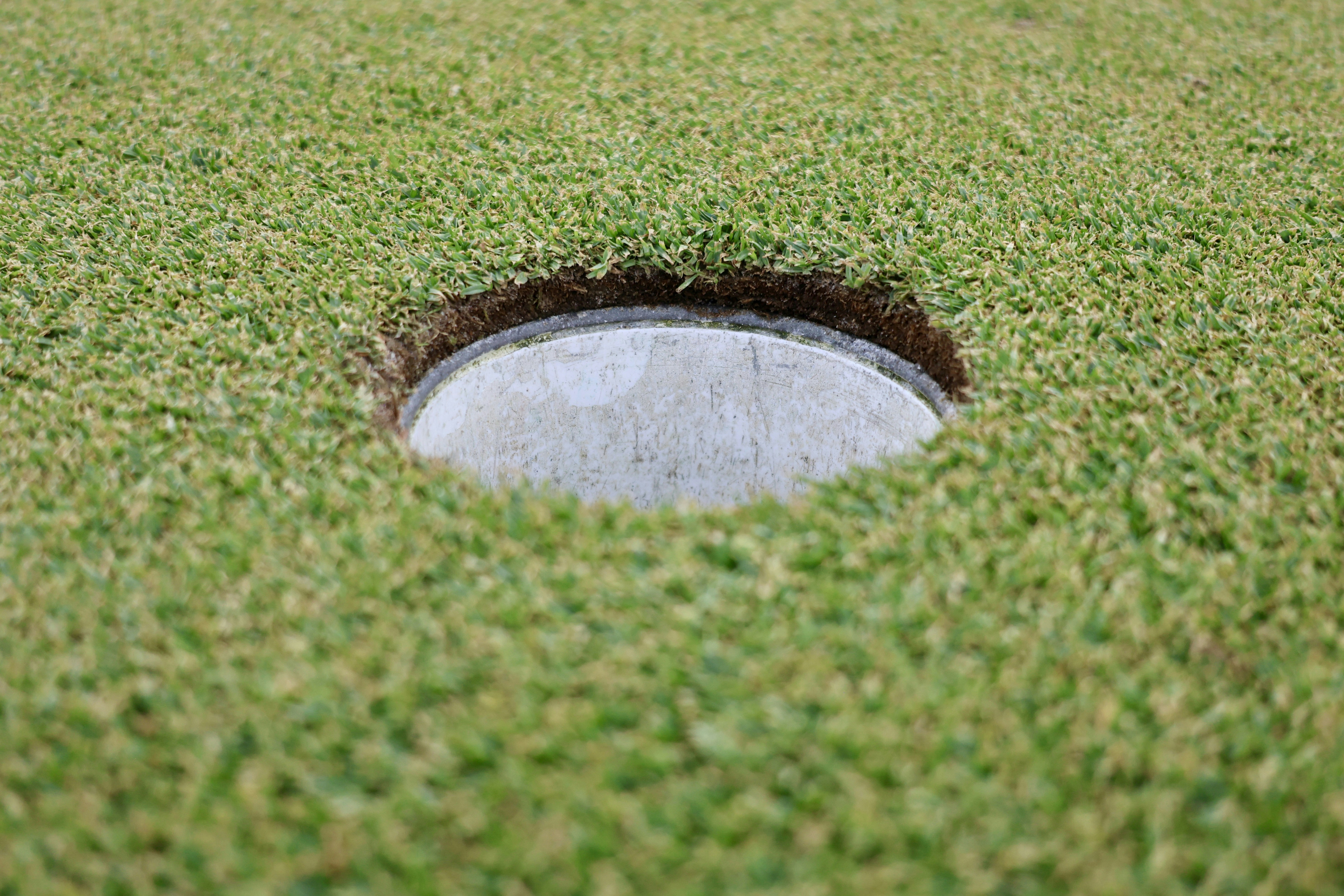The Heart of the Green: A Golfer's Challenge