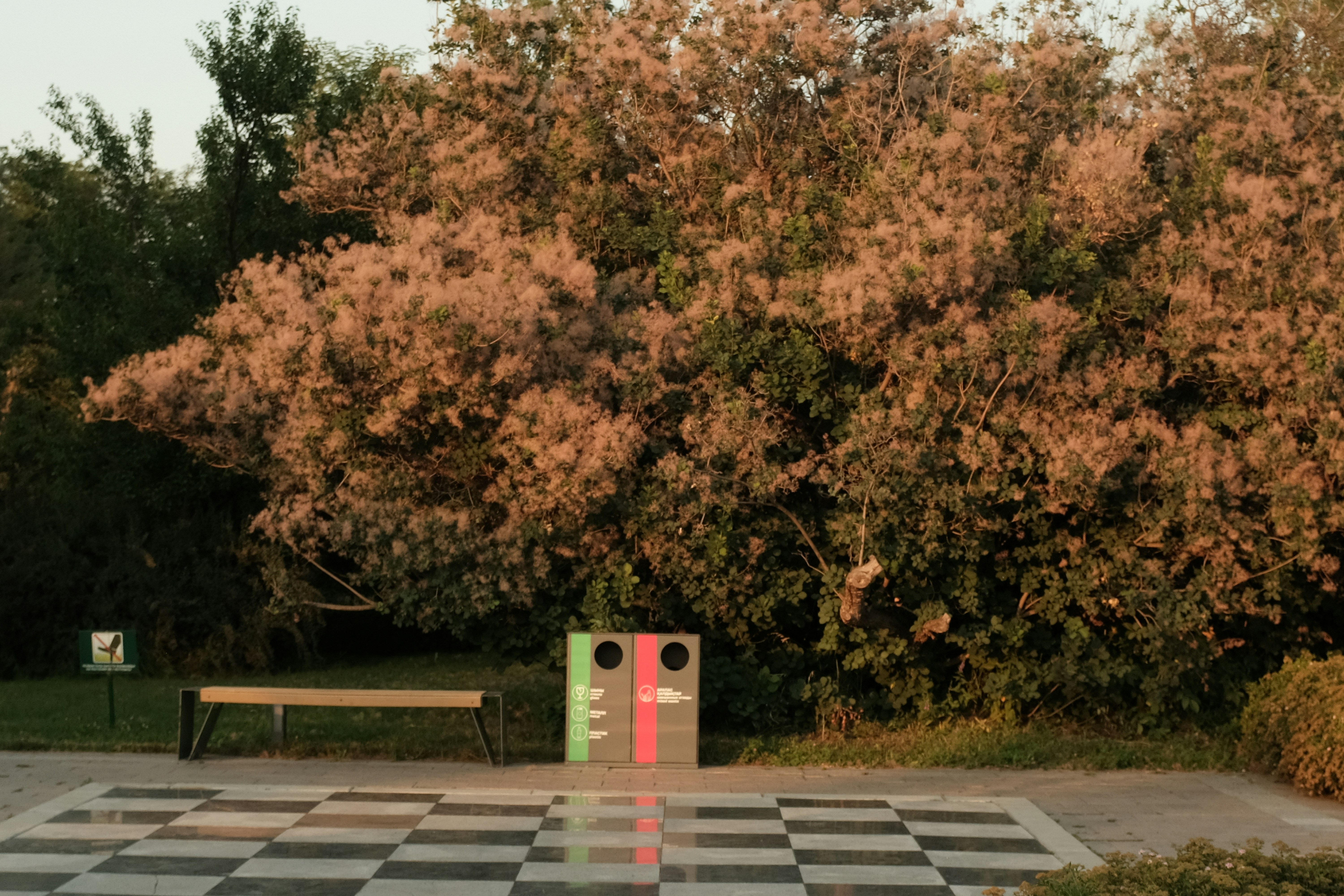 Harmony in Green: A Serene Park Scene