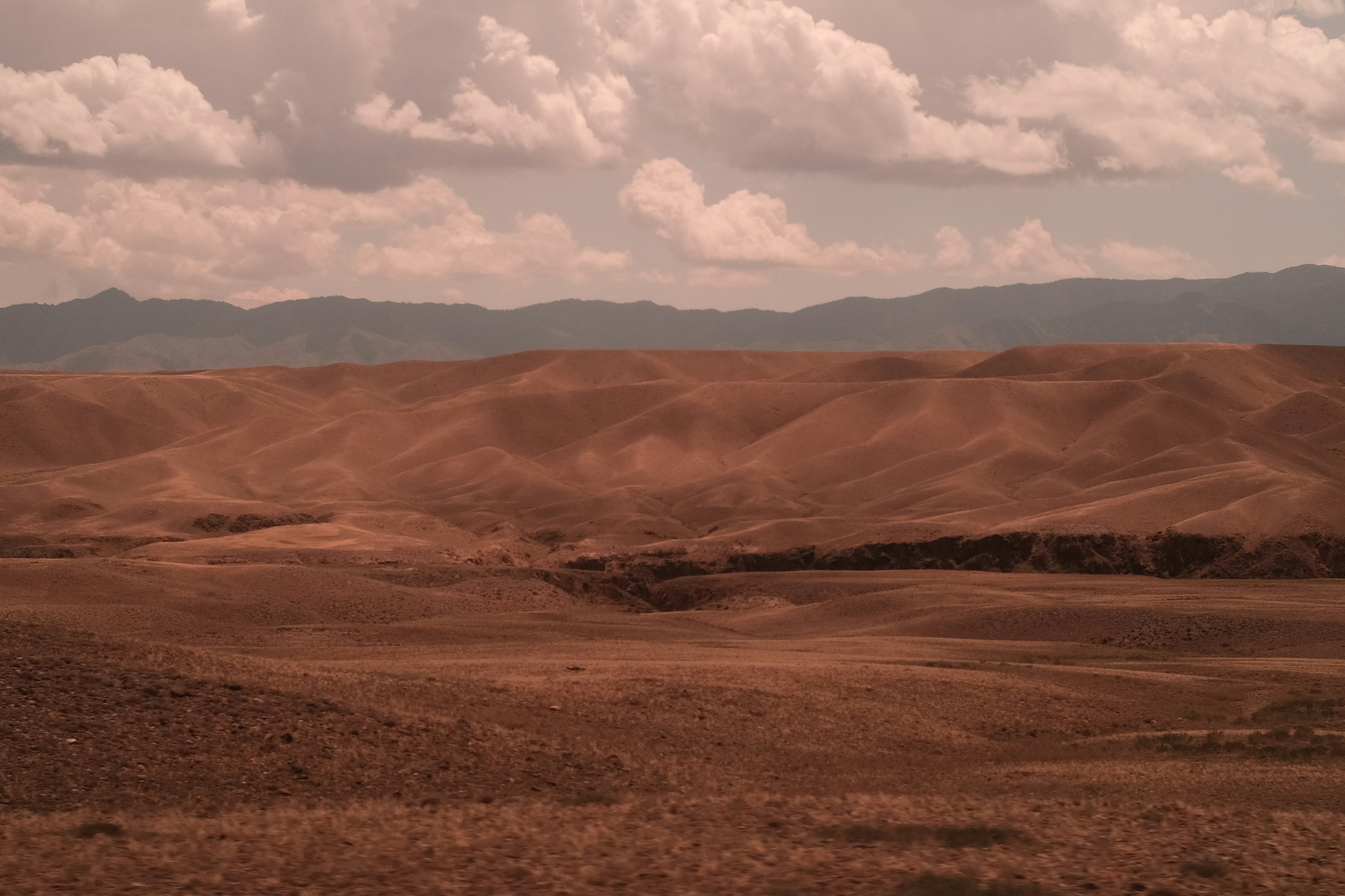 Whispers of the Arid Landscape