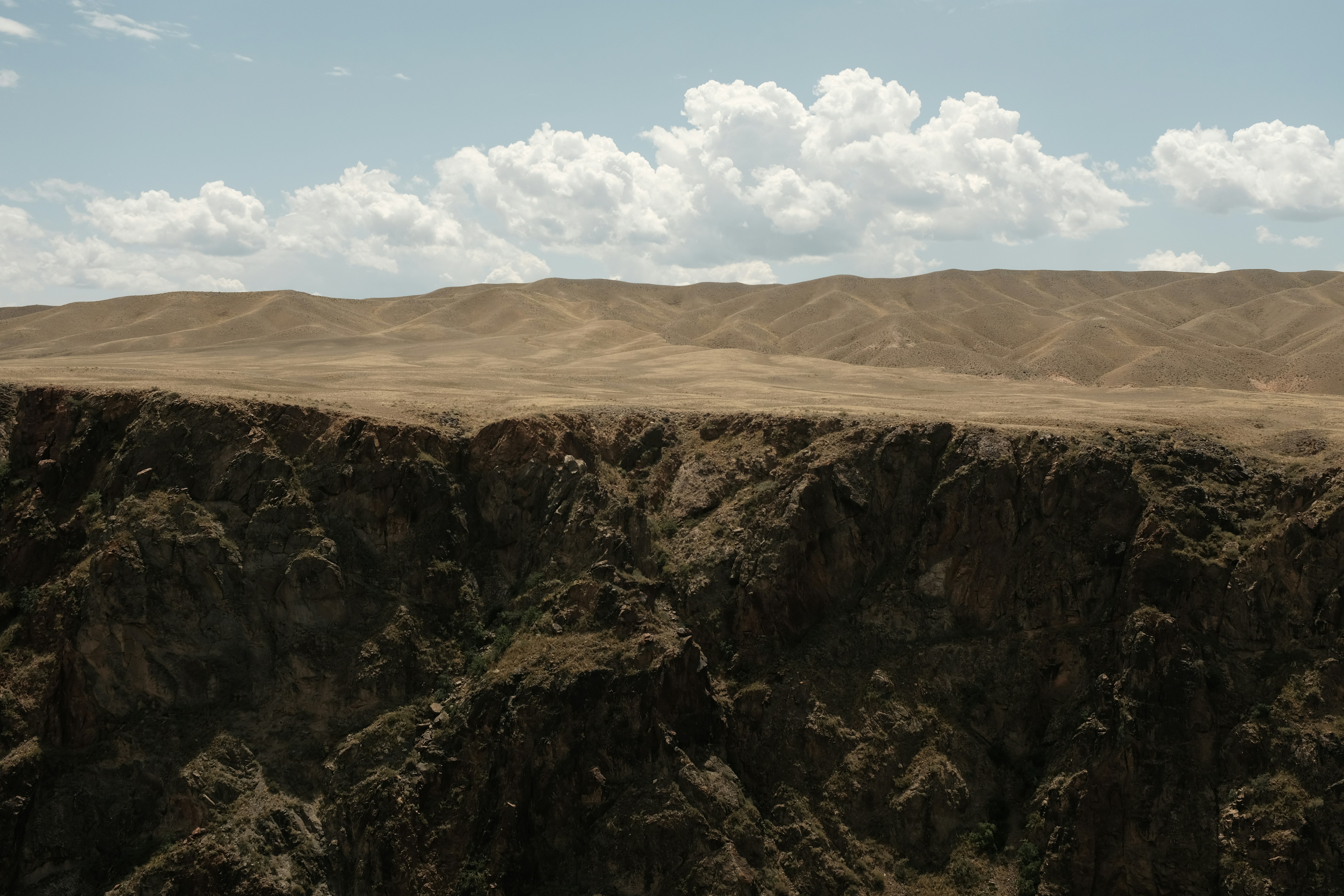 Whispers of the Arid Expanse