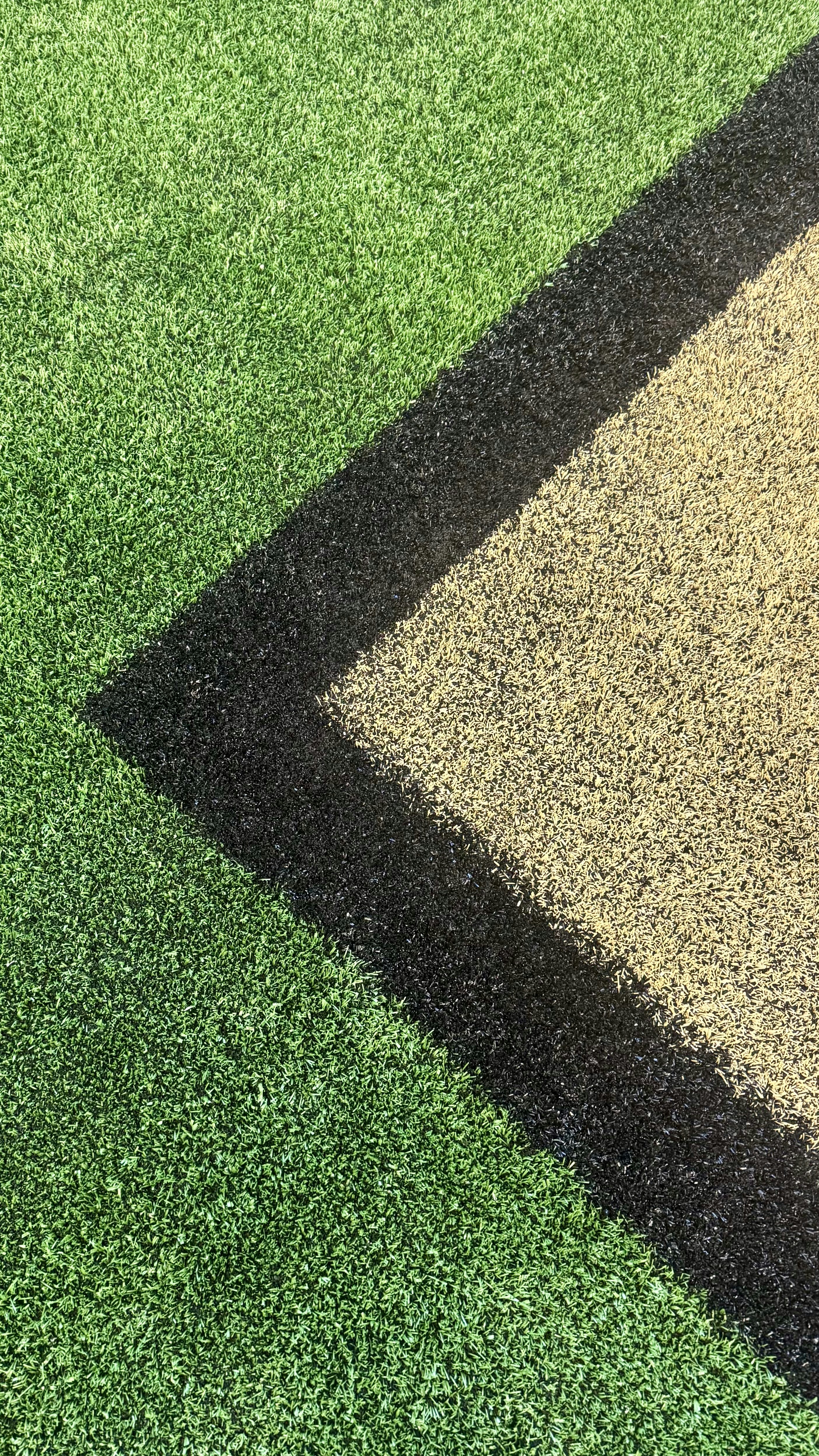 Green grass meets a black and tan bordered area.