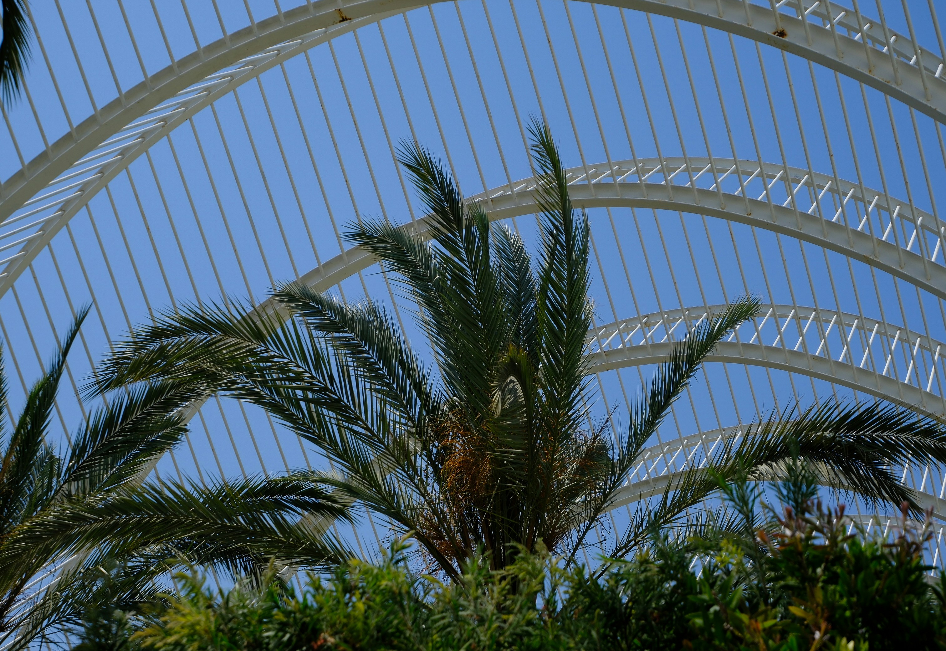 Palm trees and arched structures are against a blue sky.