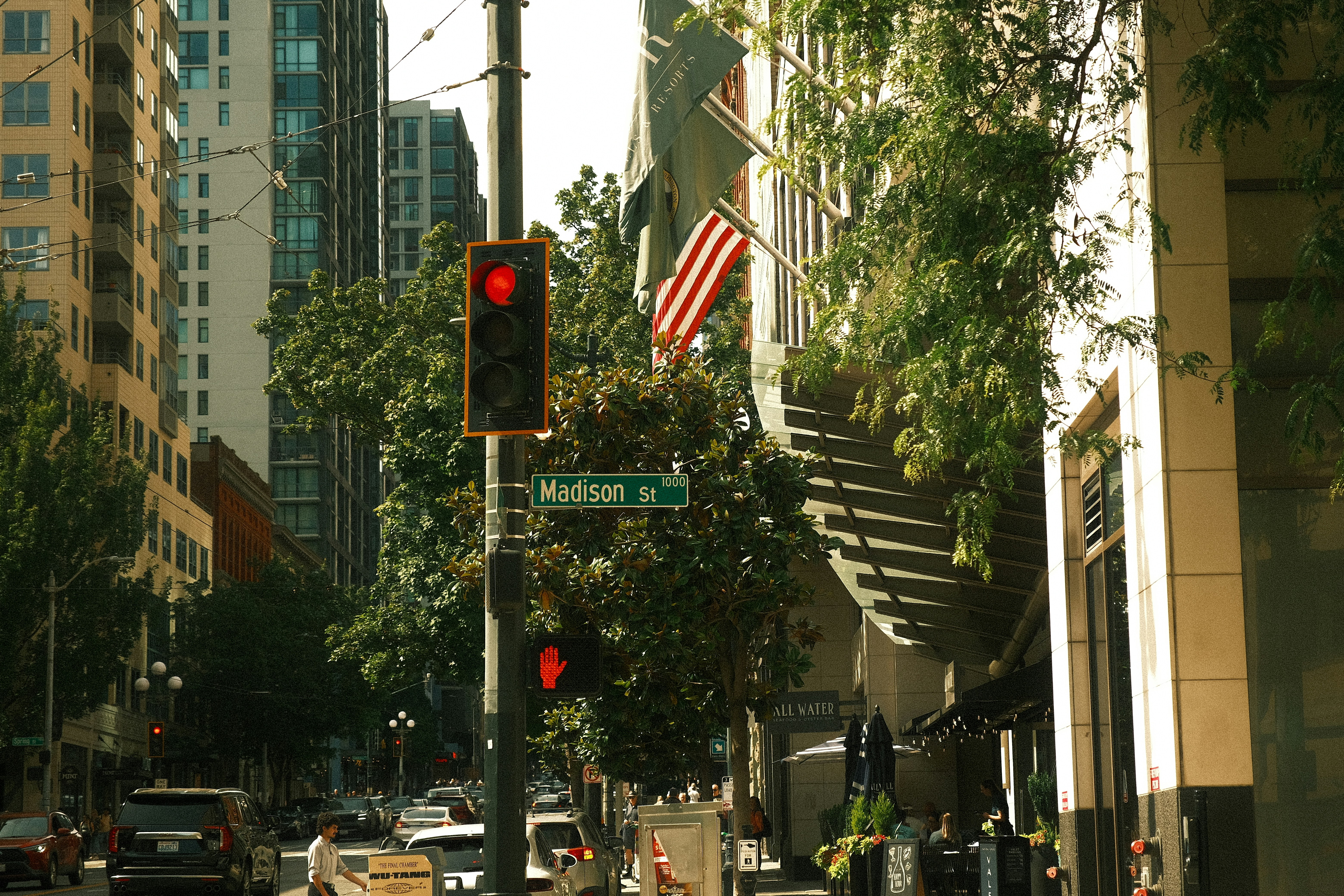 Urban Harmony: The Intersection of Nature and City Life
