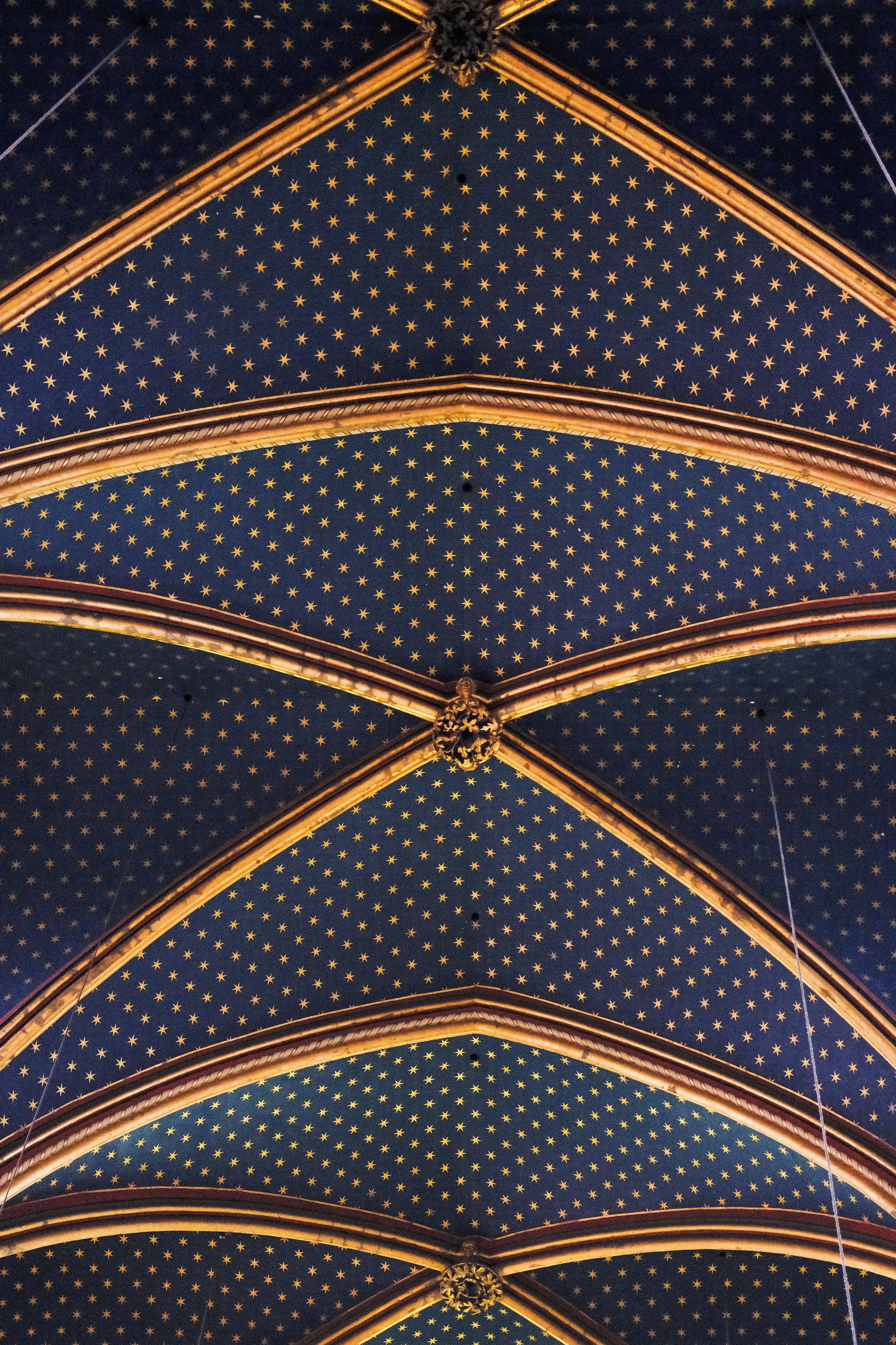 An arched ceiling with star-patterned panels. photo – Free Blue Image ...