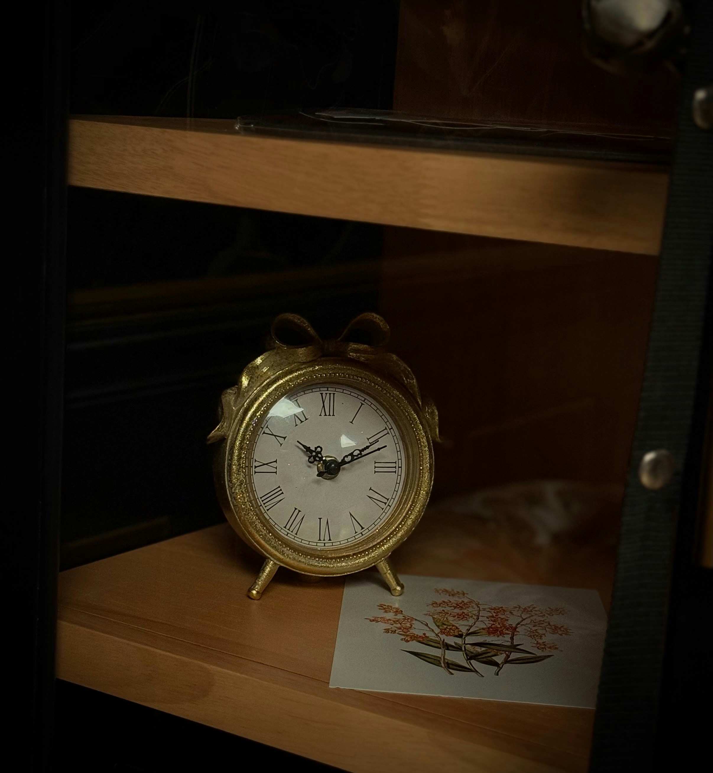 Timeless Elegance: A Glimpse into History