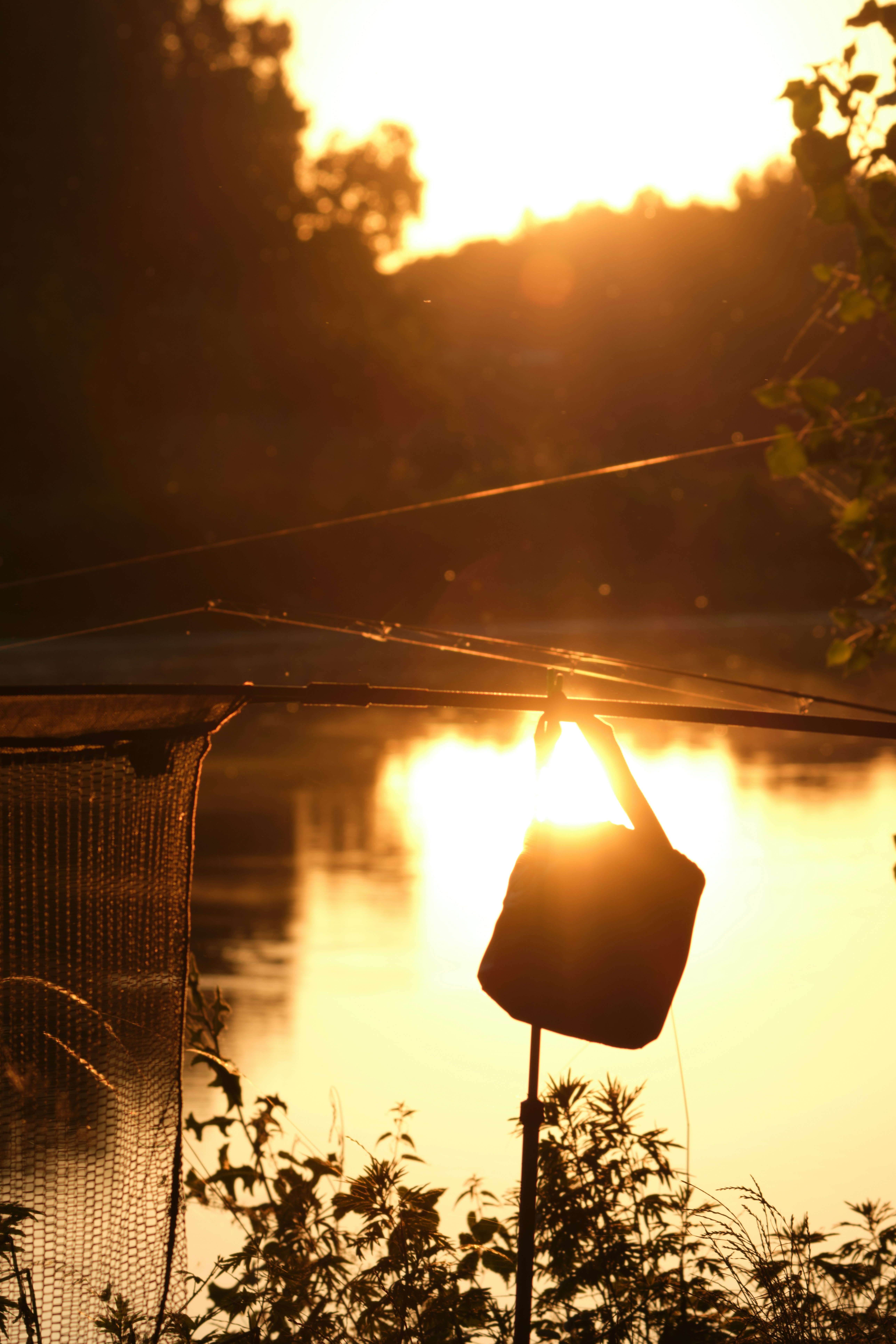 Golden Reflections on Tranquil Waters