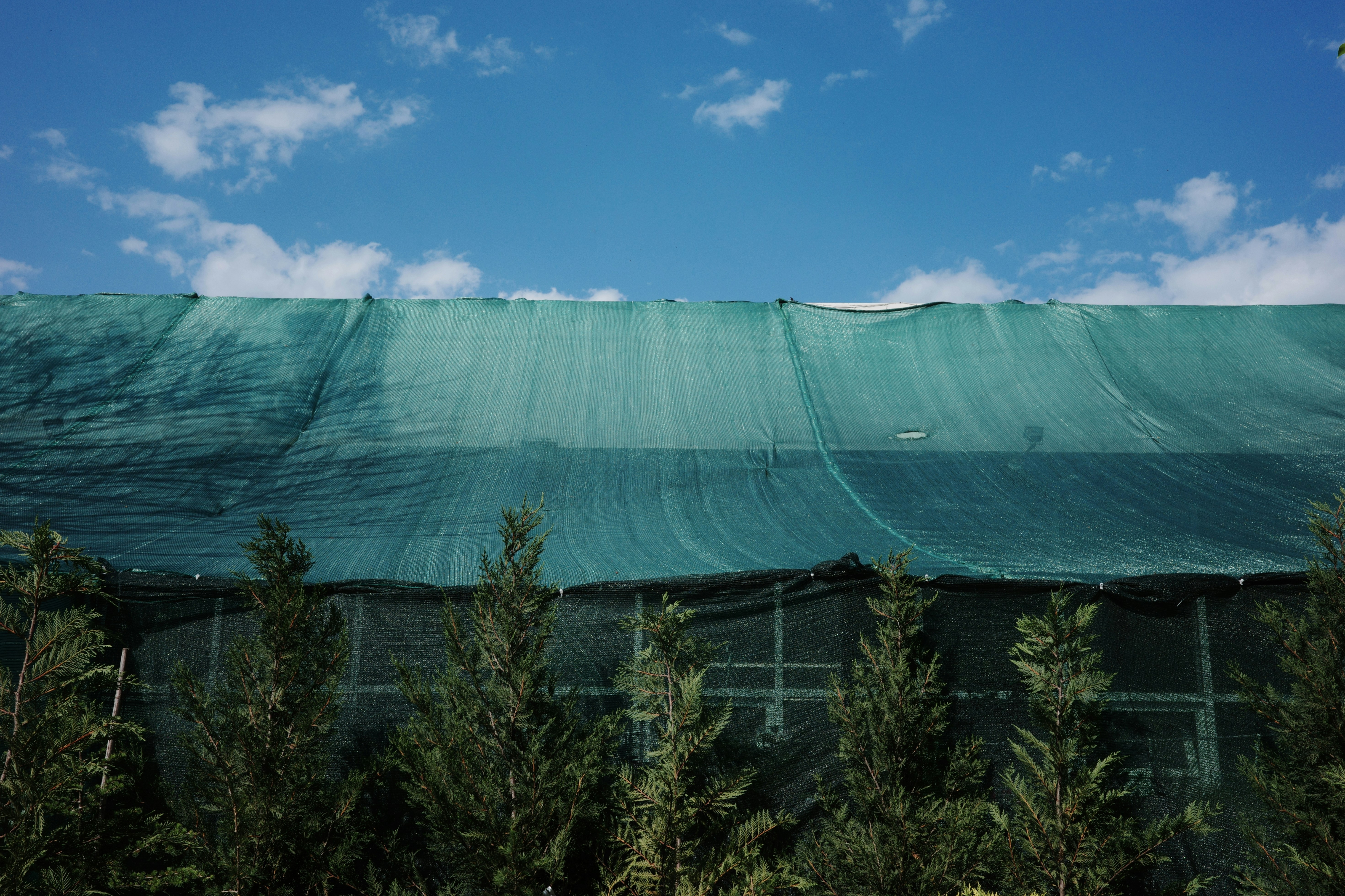 Green shading covers a building under a blue sky. photo – Free Green ...