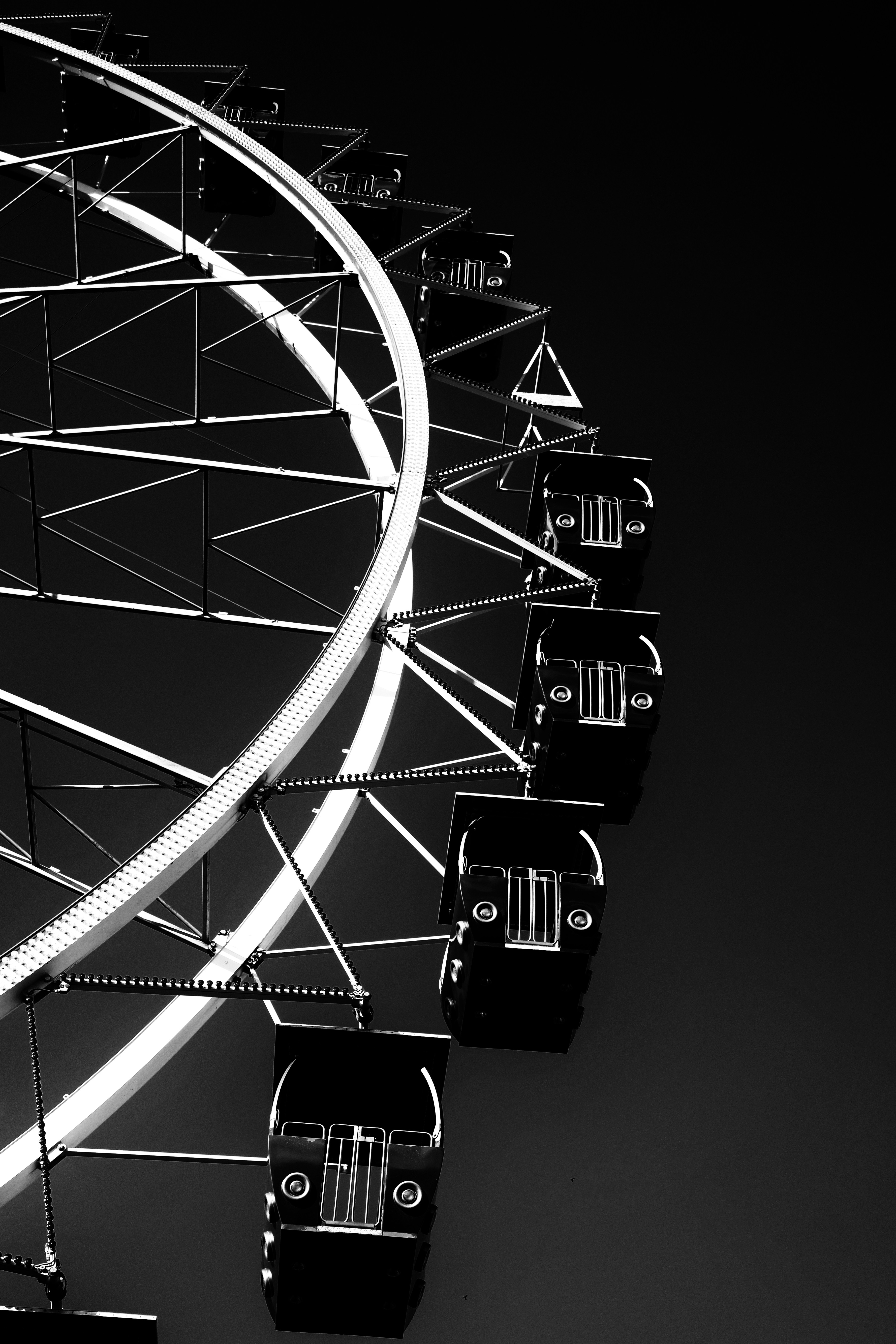 Circles of Motion: A Ferris Wheel's Geometry