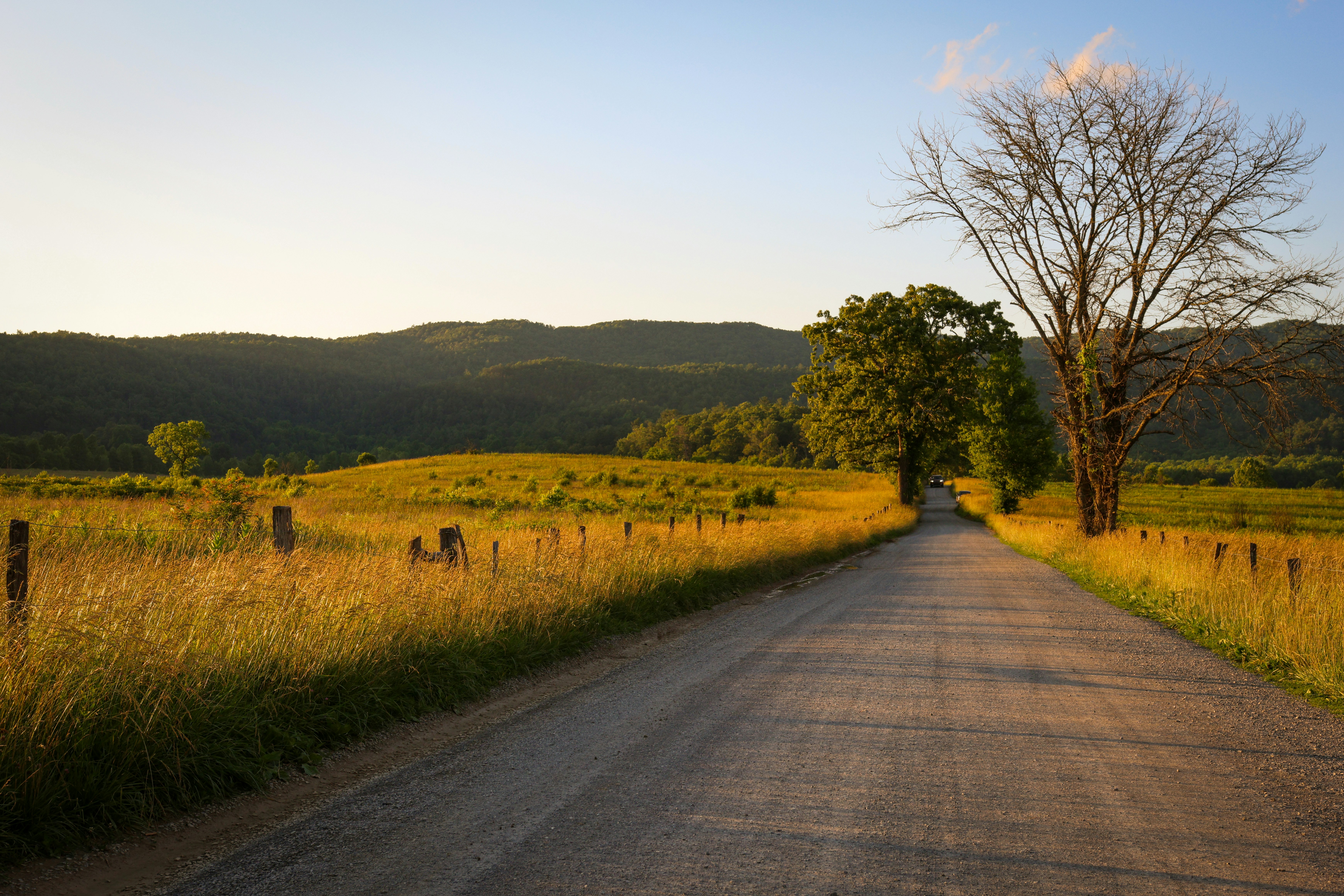Gravel road meandering through golden fields with a backdrop of rolling hills and a solitary tree. Warm evening light casts a serene atmosphere.