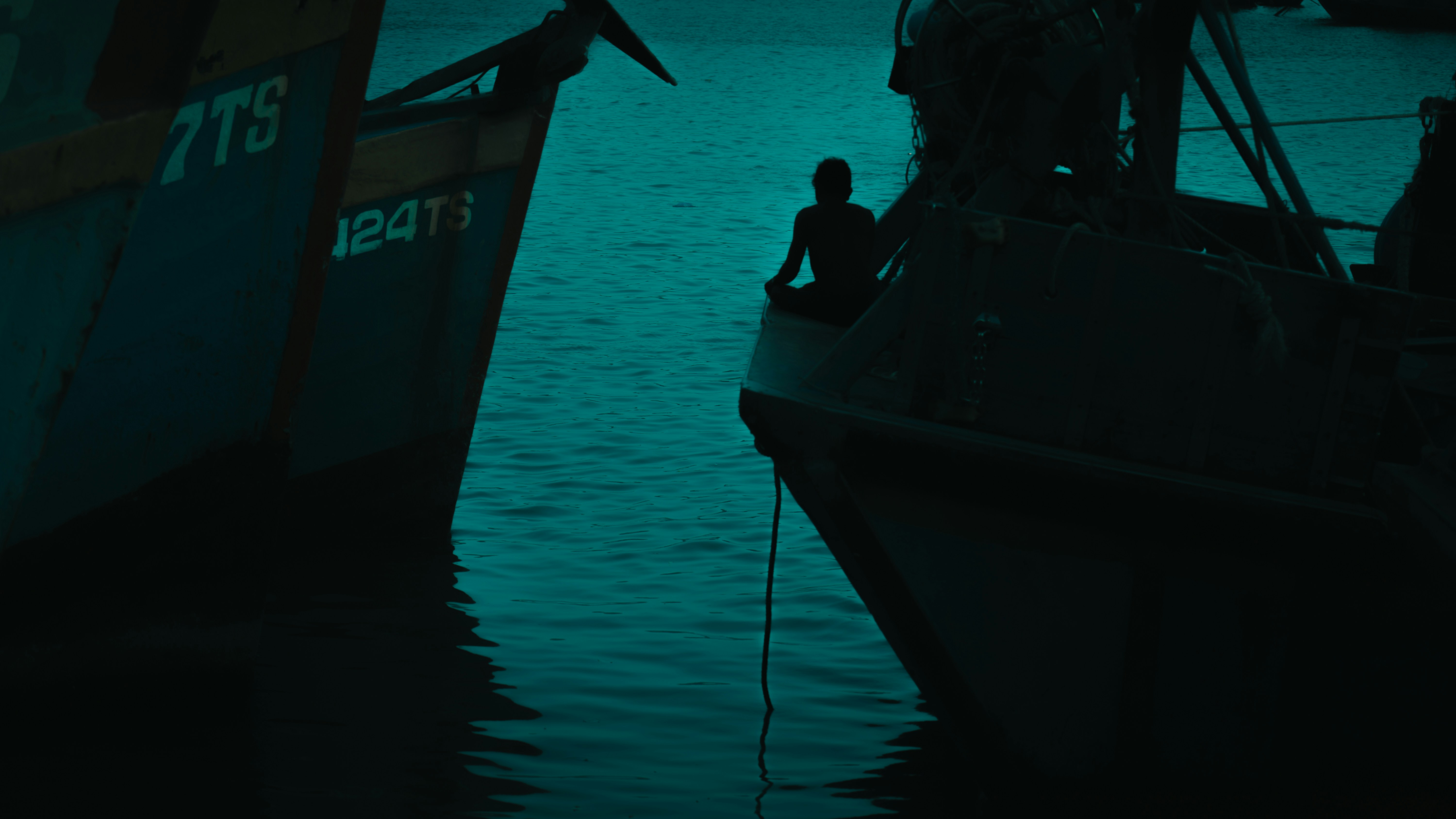 Whispers of the Twilight Harbor