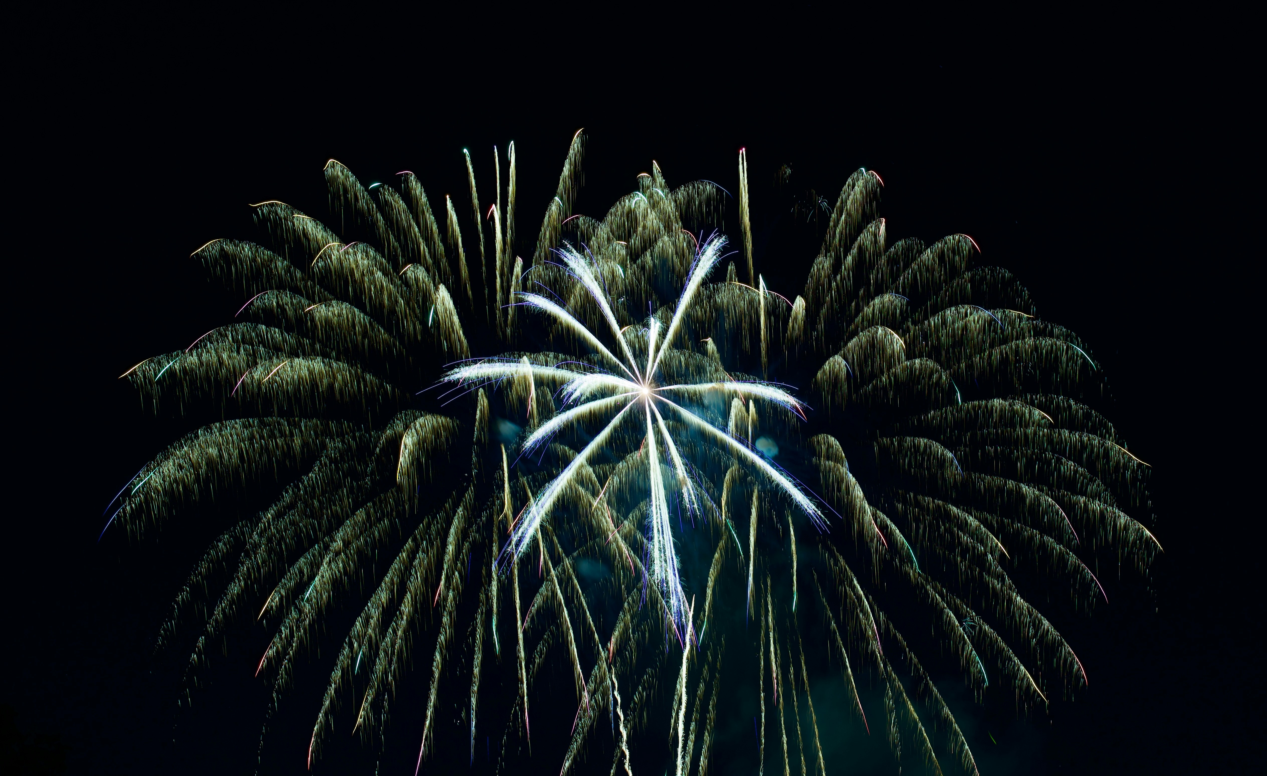 Celestial Blossoms: A Night Sky Celebration