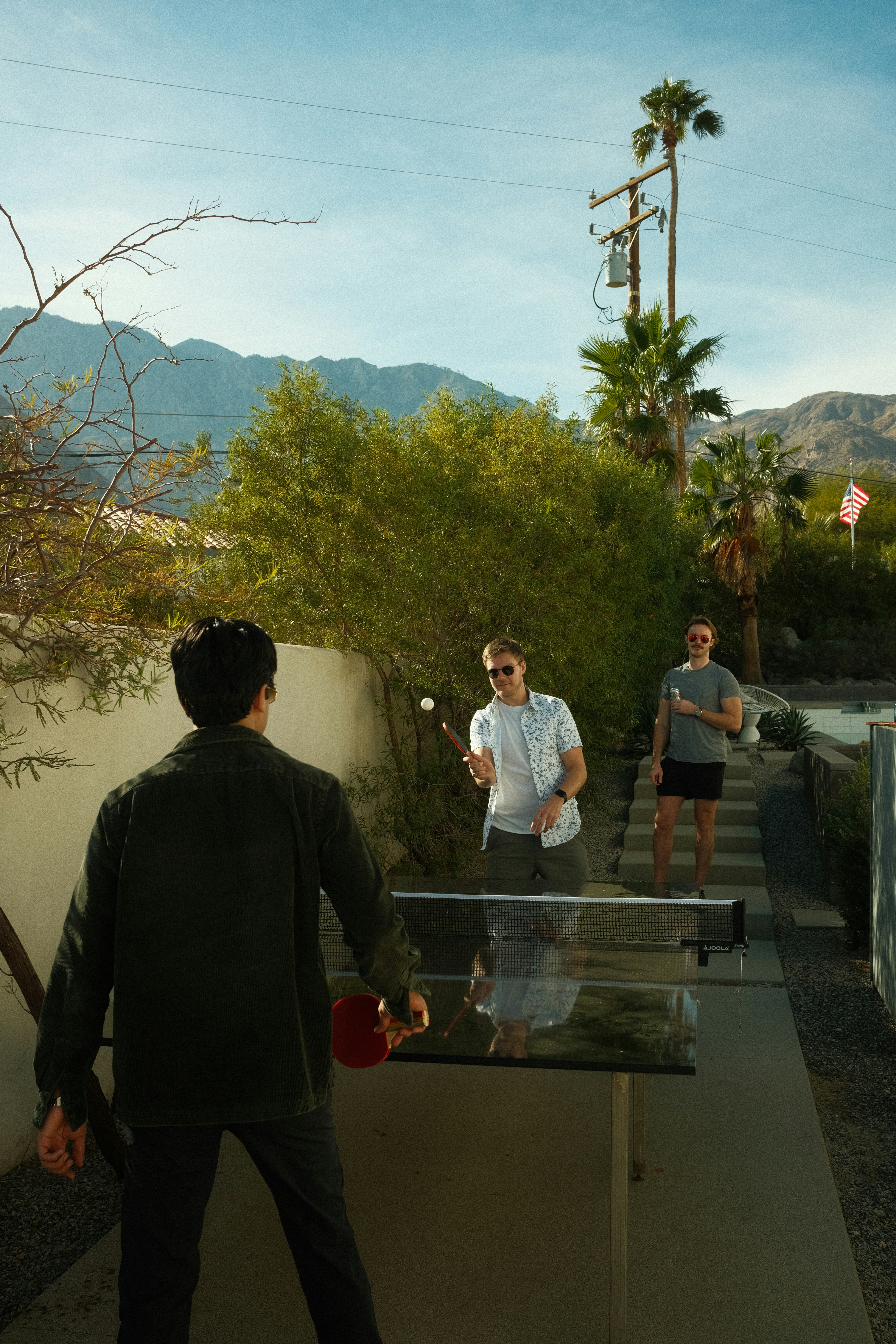 Sunlit Backyard Ping-Pong Duel Beneath Palm Trees with a Mountain Backdrop