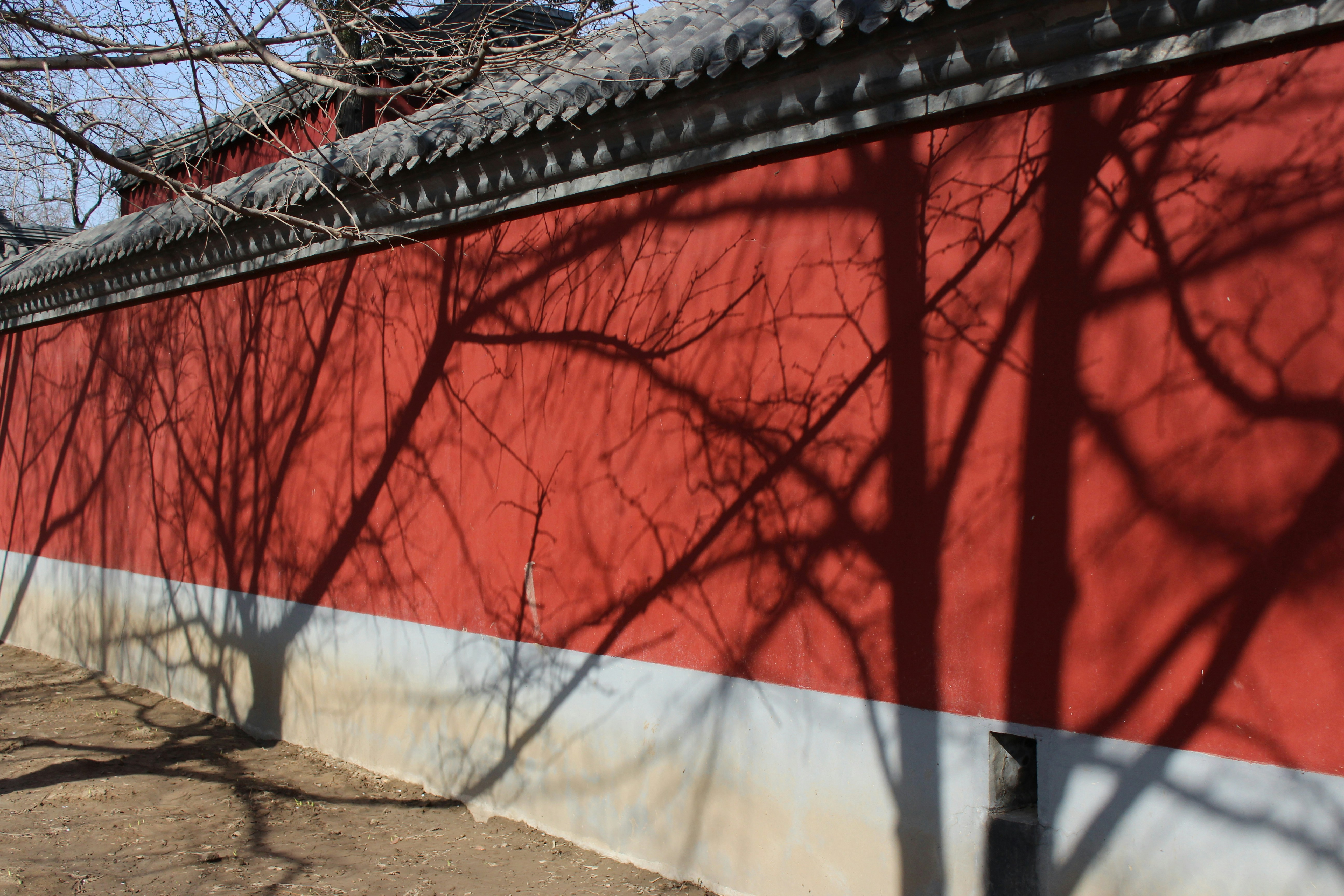 Red Wall with Shadowed Branches and Grounded Walkway