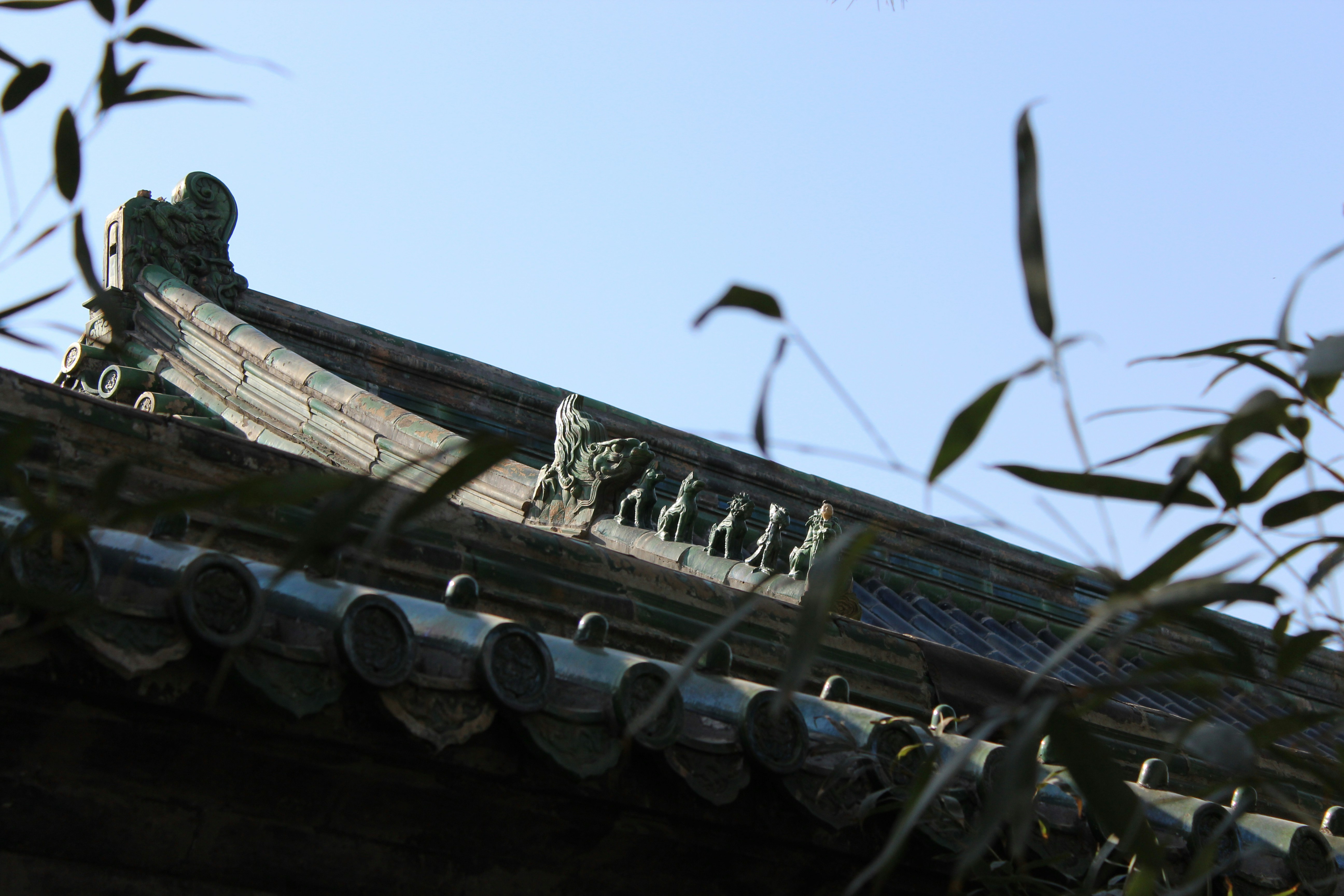 An ornate roof with bamboo branches.