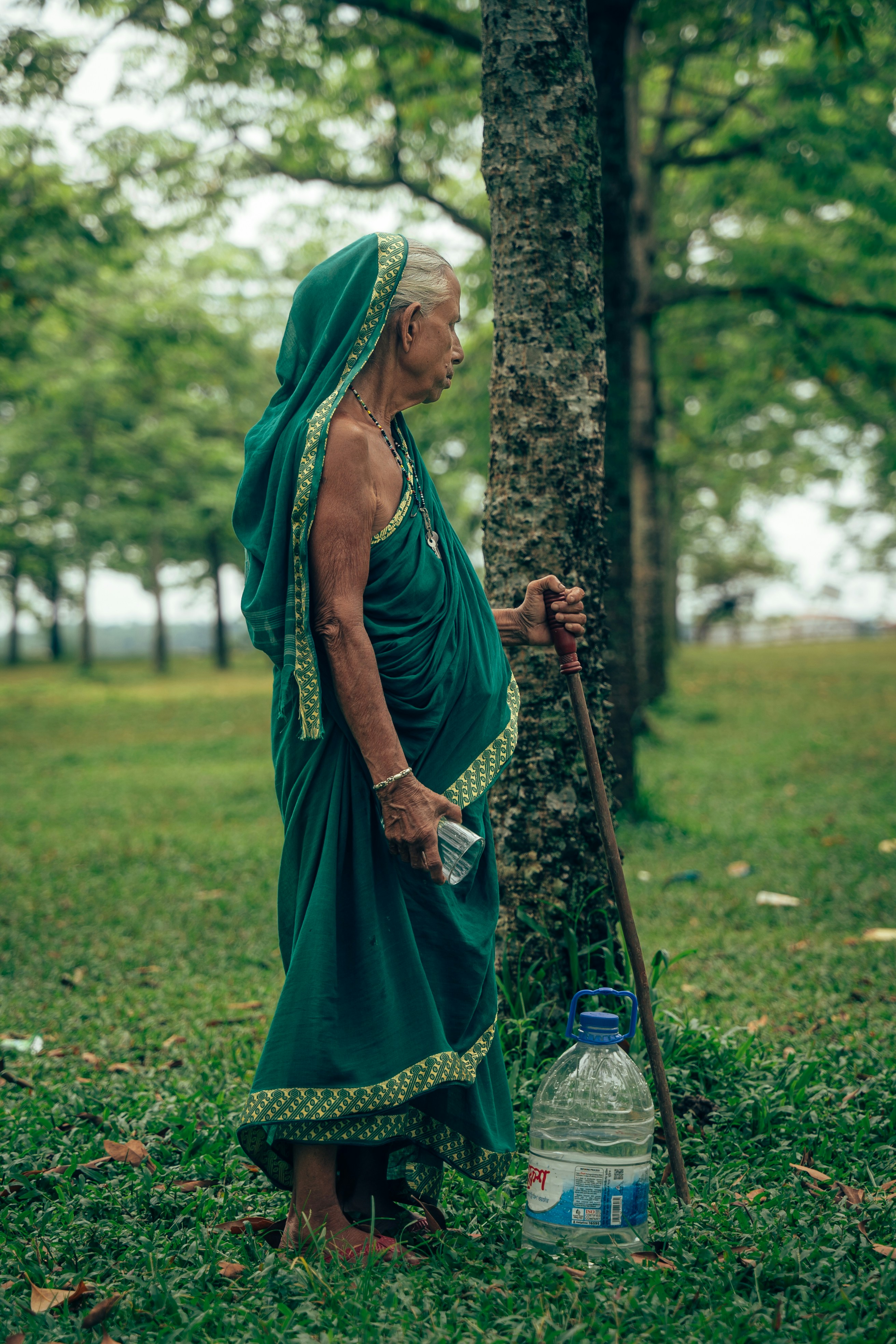 Wisdom in Green: A Guardian of Nature