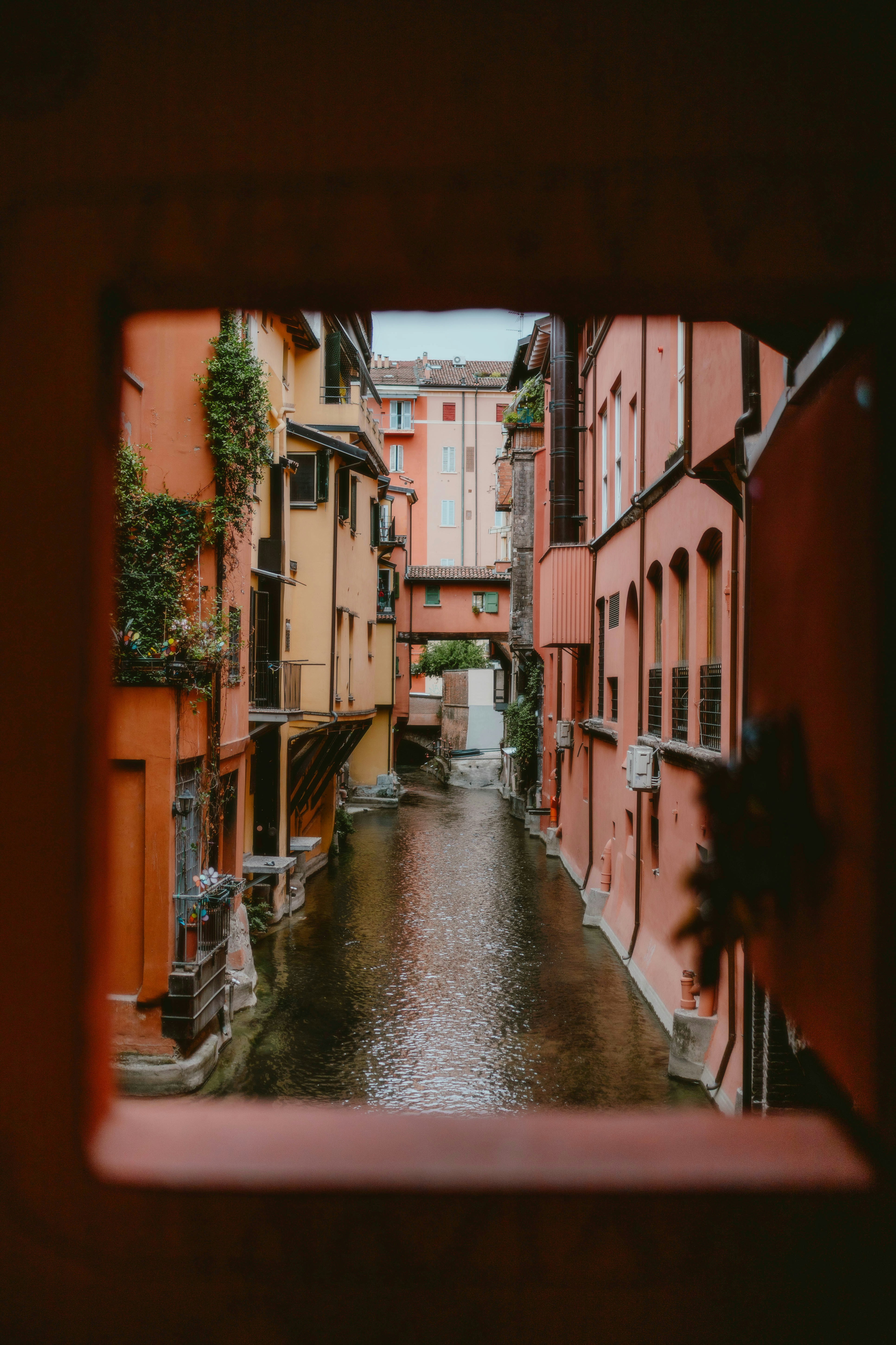 Reflections of a Vibrant Past