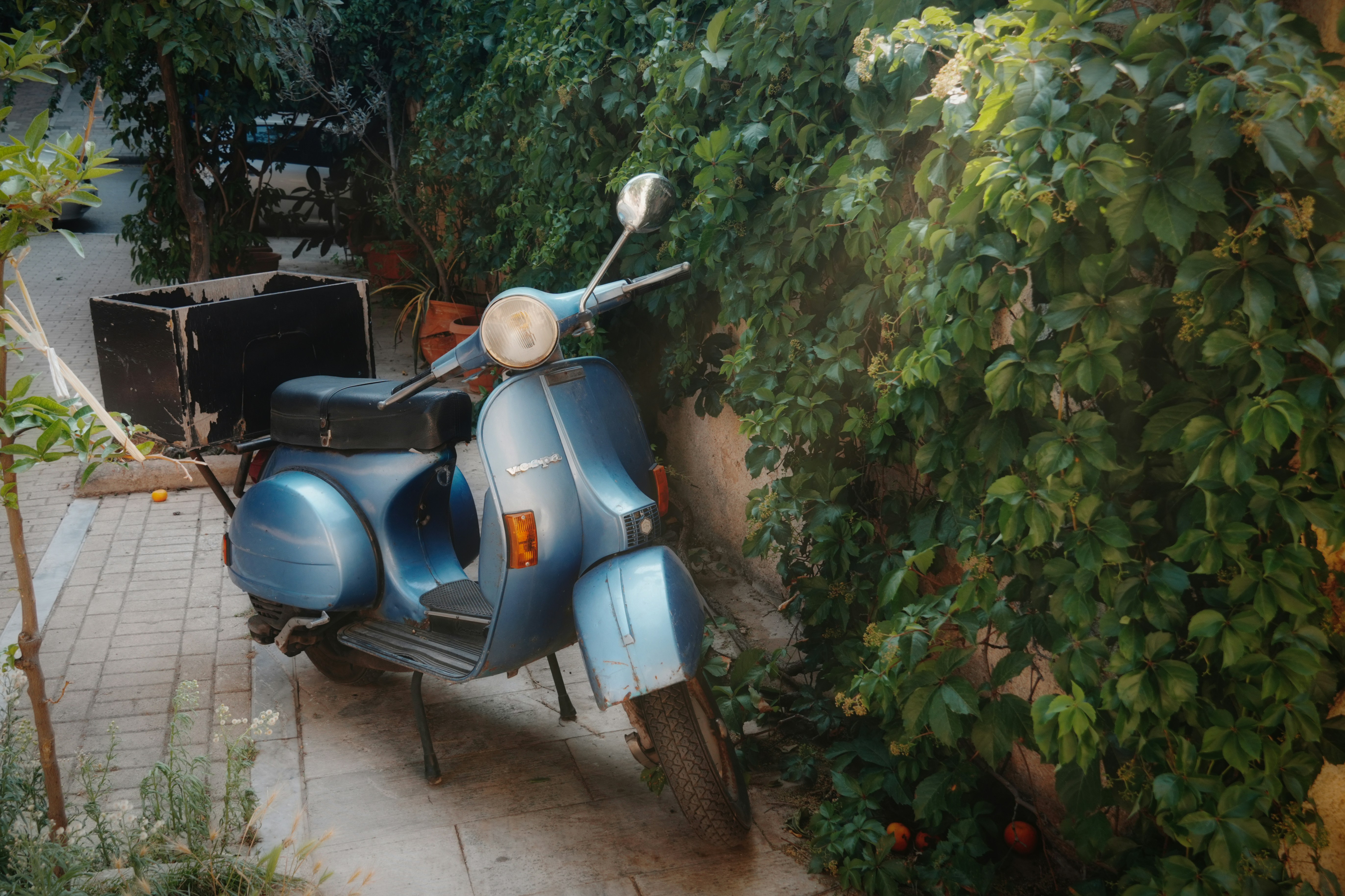 Urban Oasis: The Timeless Charm of a Blue Scooter
