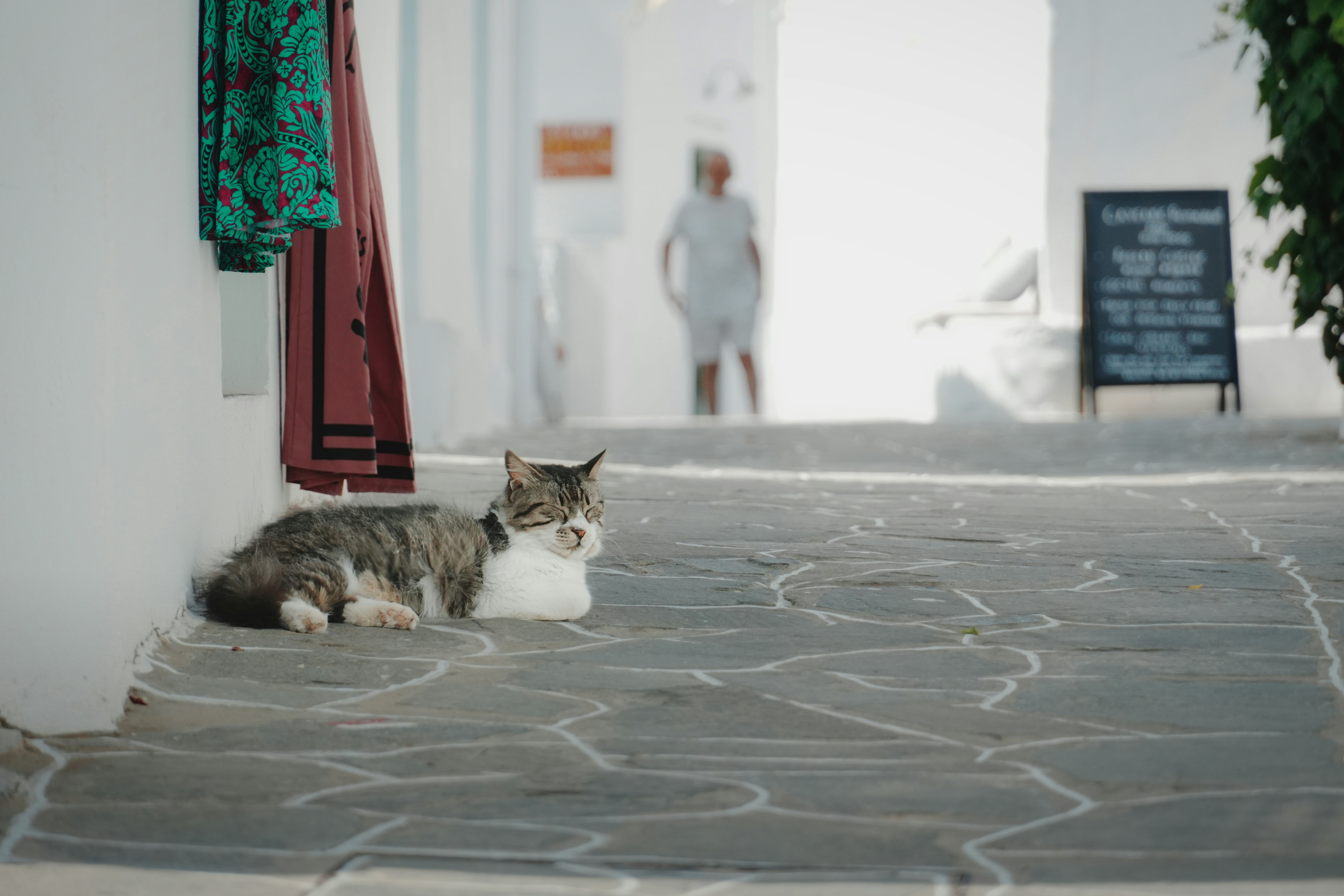 A relaxed cat lounging on a cobblestone path, framed by colorful garments and a distant figure, evoking a tranquil moment in a sunlit setting.