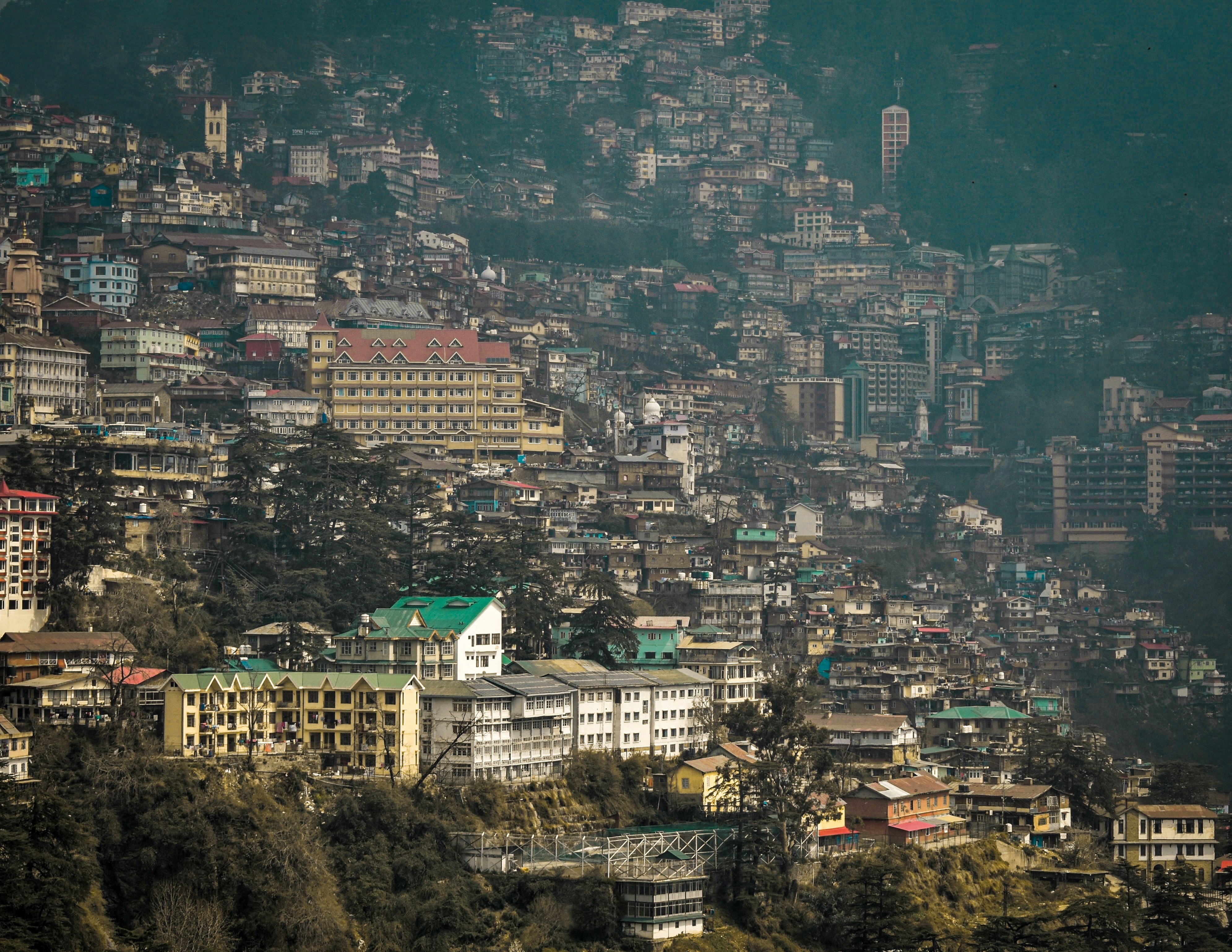 Shimla | A dense city sprawls across the mountainside.