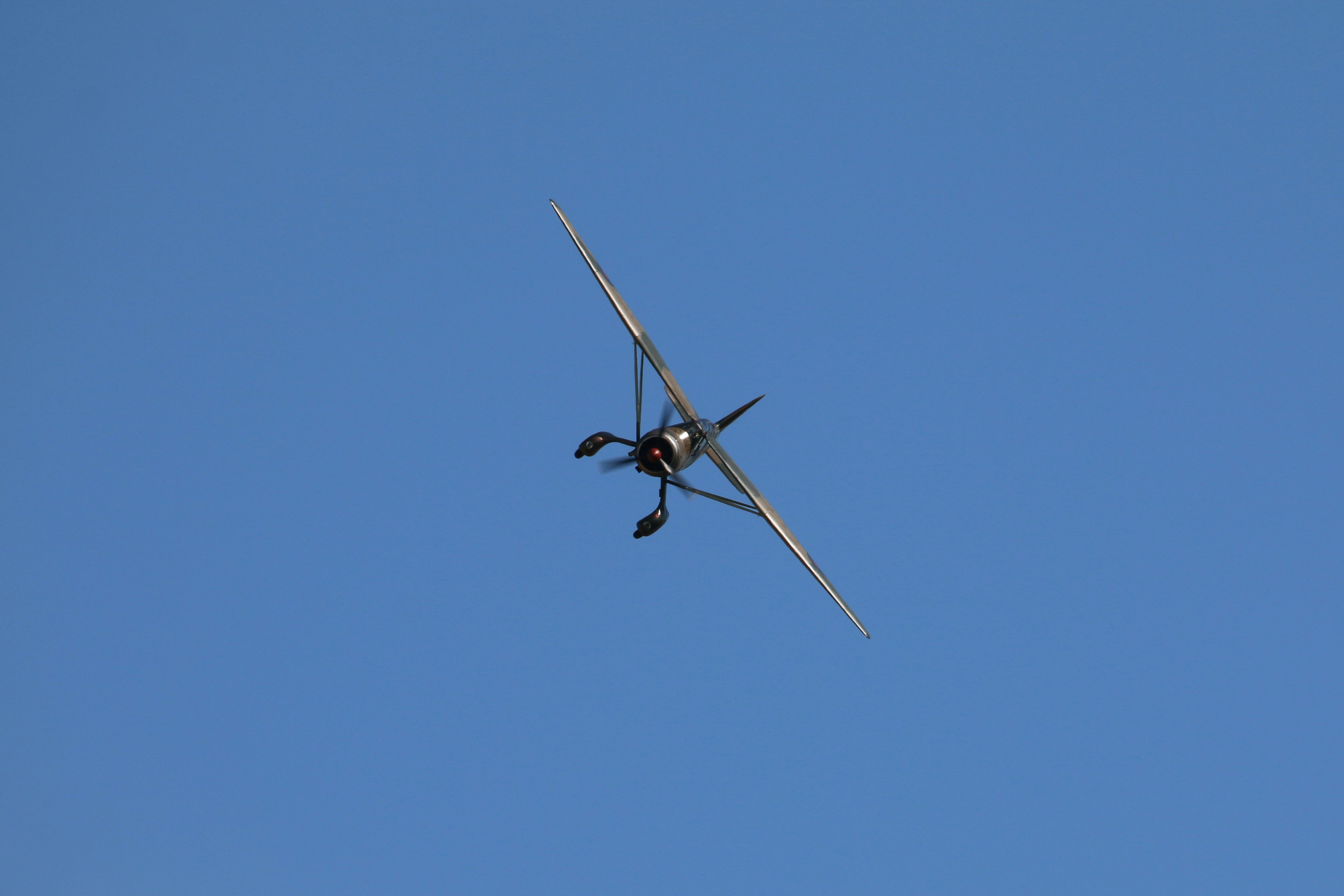 Soaring Through the Azure Canvas