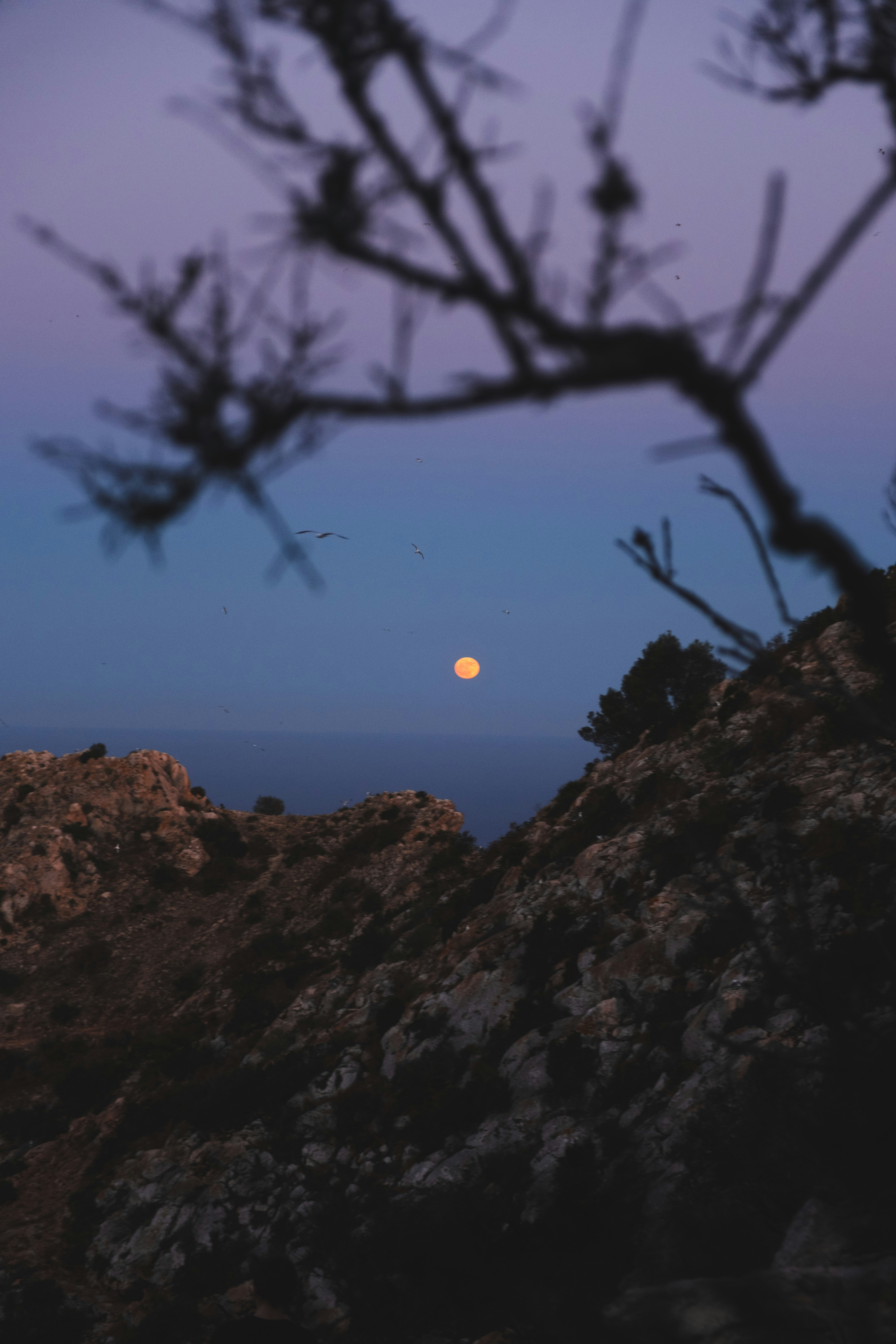 Photo by Manuel Weber with Fujifilm X-T5