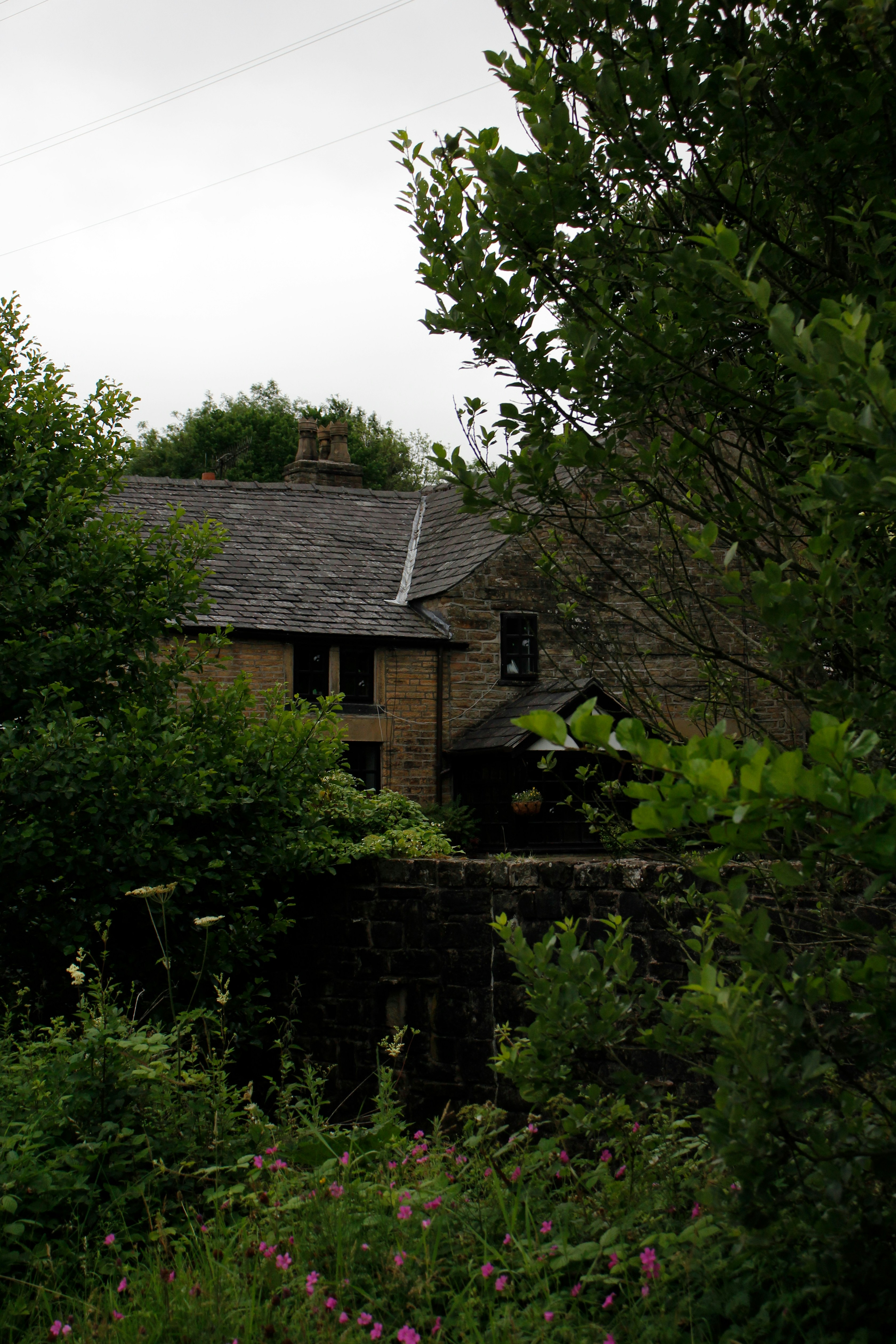 A stone house is partly hidden by greenery.