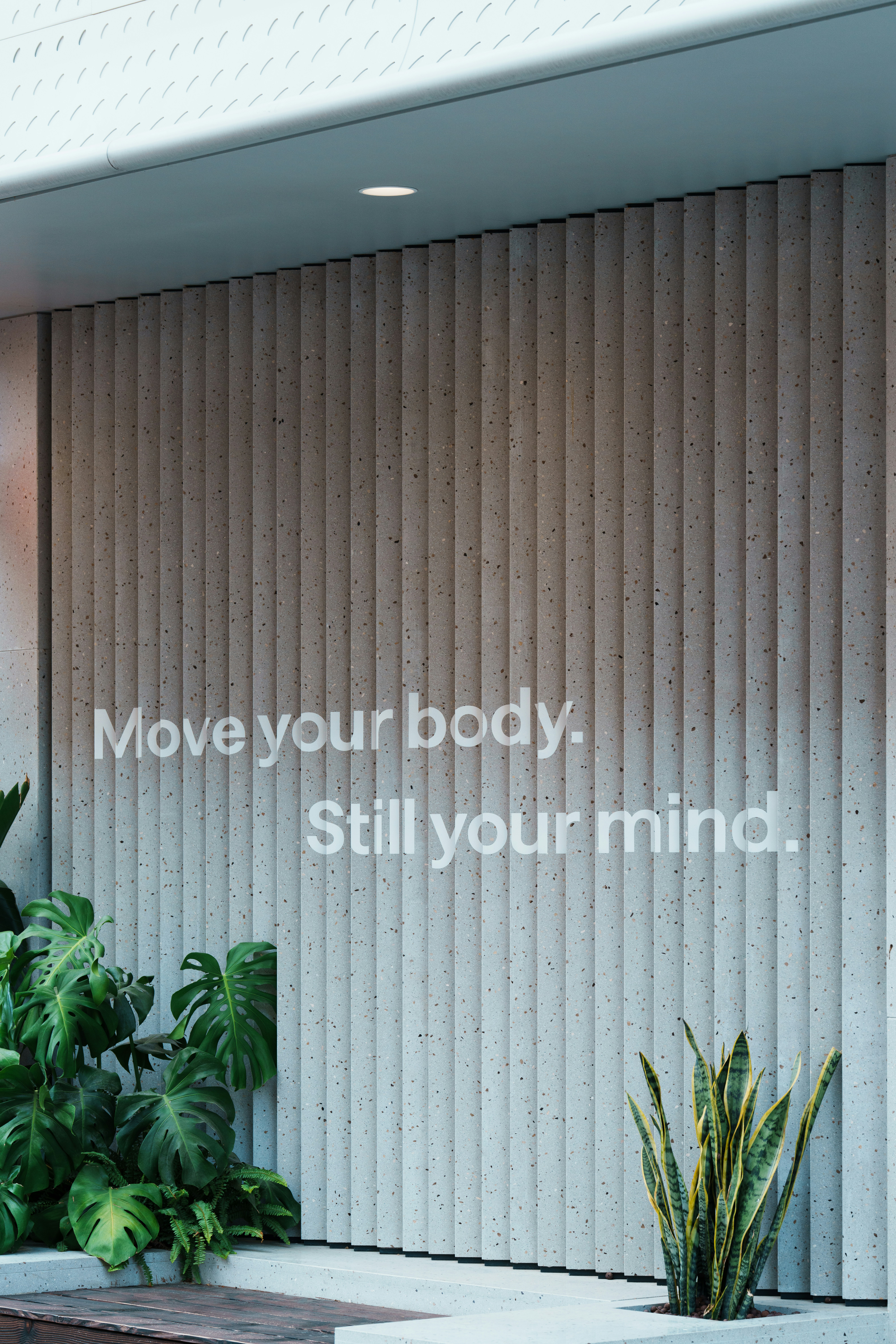 Inspirational quote displayed on a textured wall, accompanied by lush greenery, emphasizing the balance between physical movement and mental tranquility.