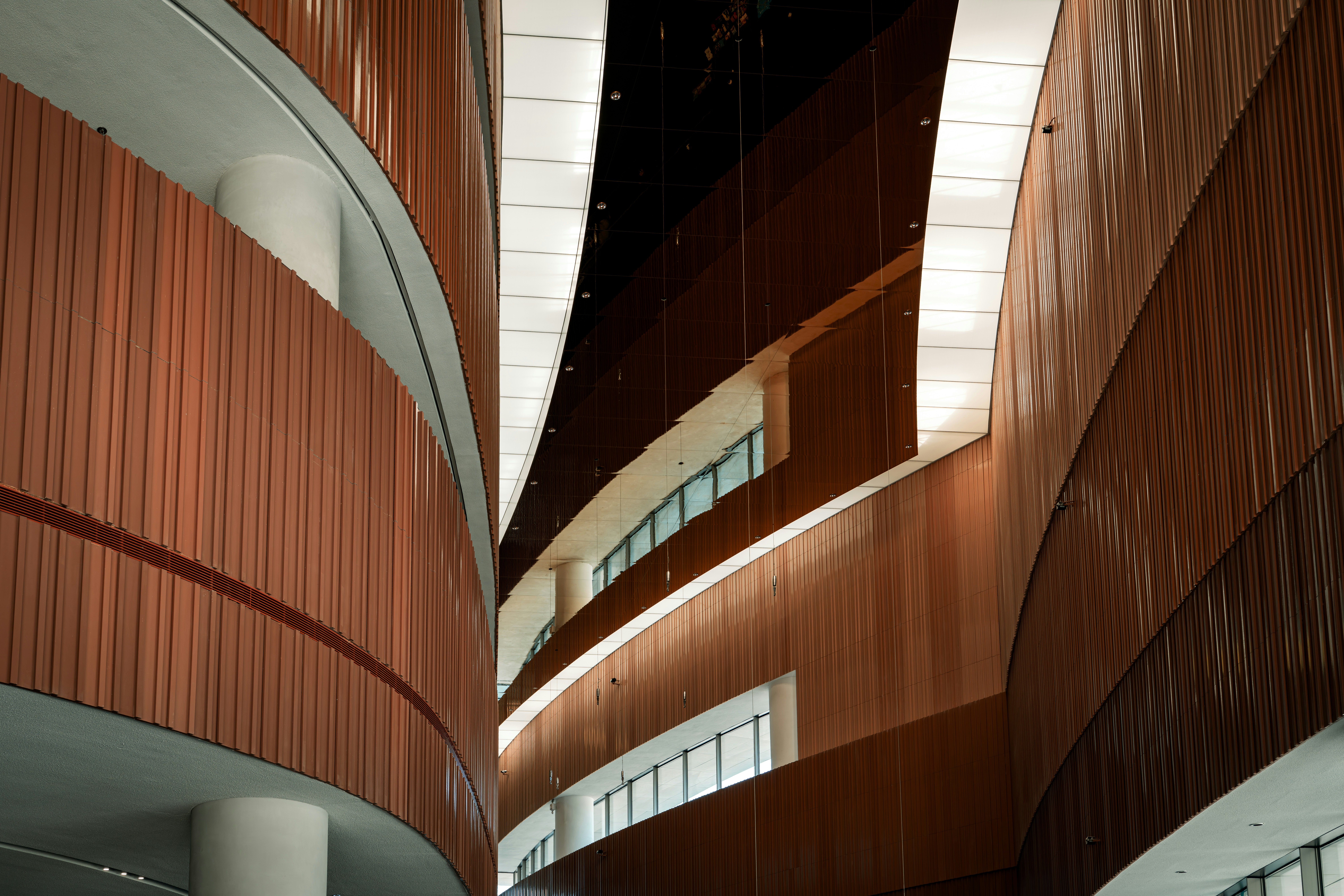 Photo by Declan Sun with Sony Alpha 7R V