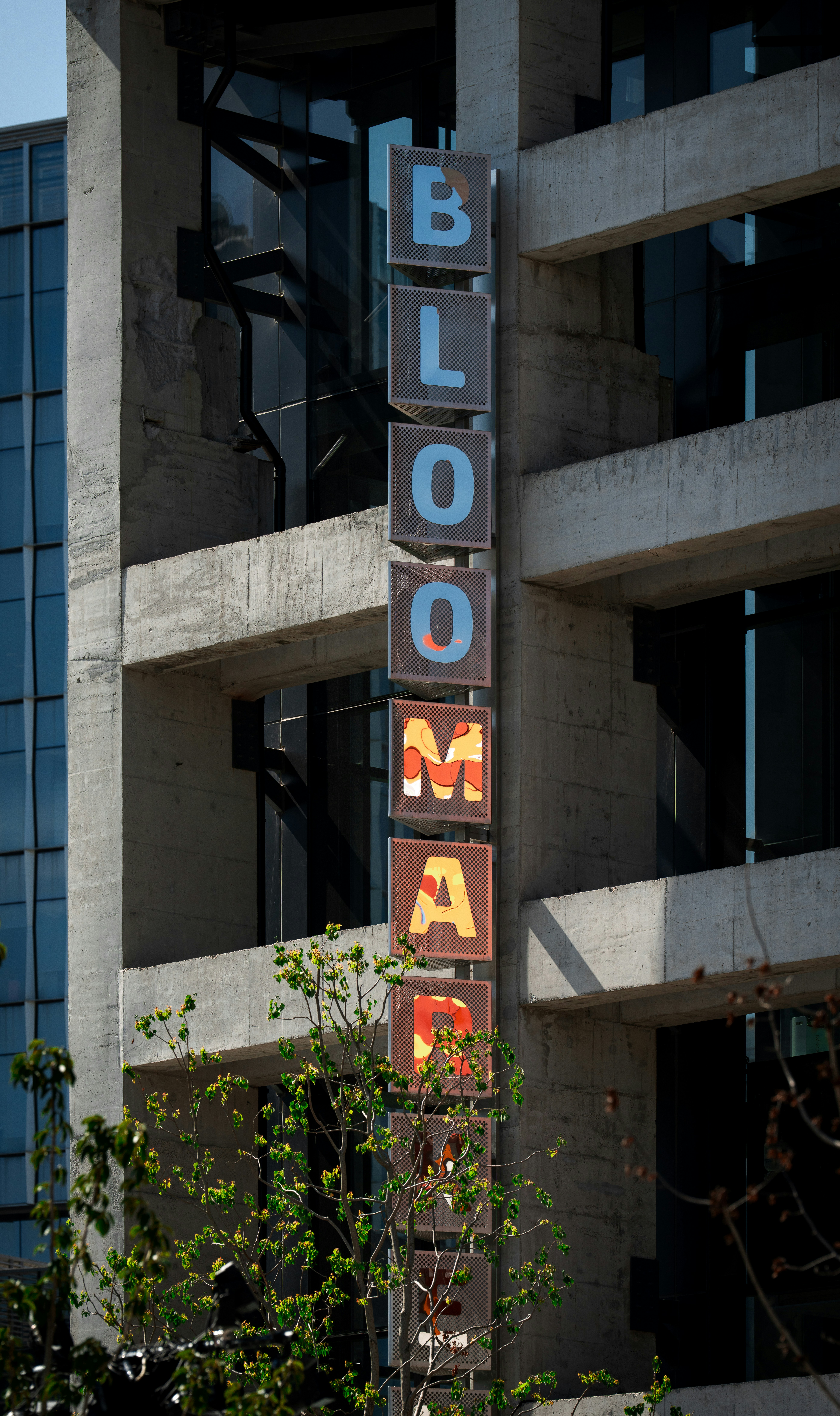 Vertical BLOOM ART signage anchors a brutalist facade amid spring foliage