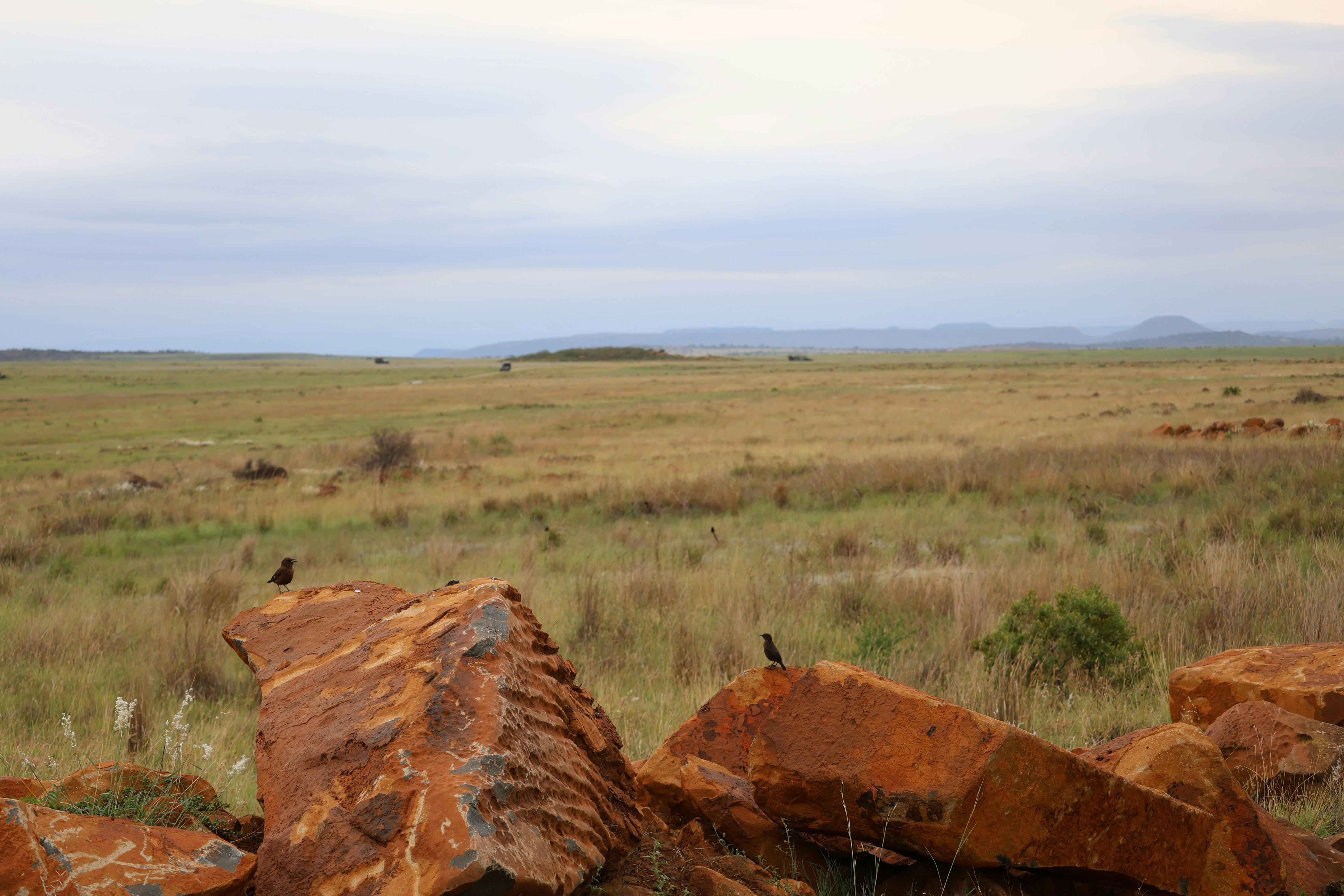 Rocks overlook a vast, grassy savanna landscape. photo – Free Land ...
