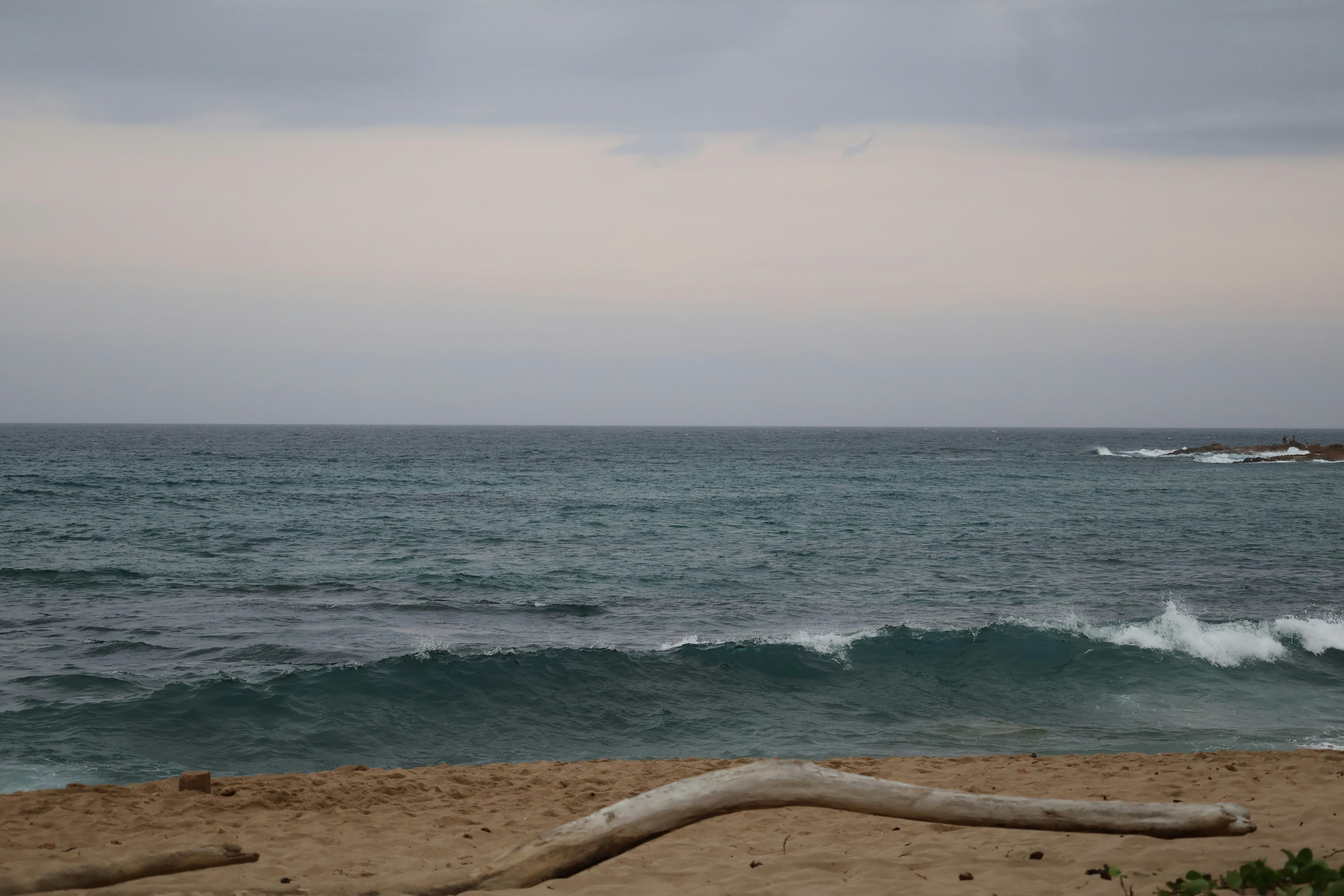 Whispers of the Shoreline