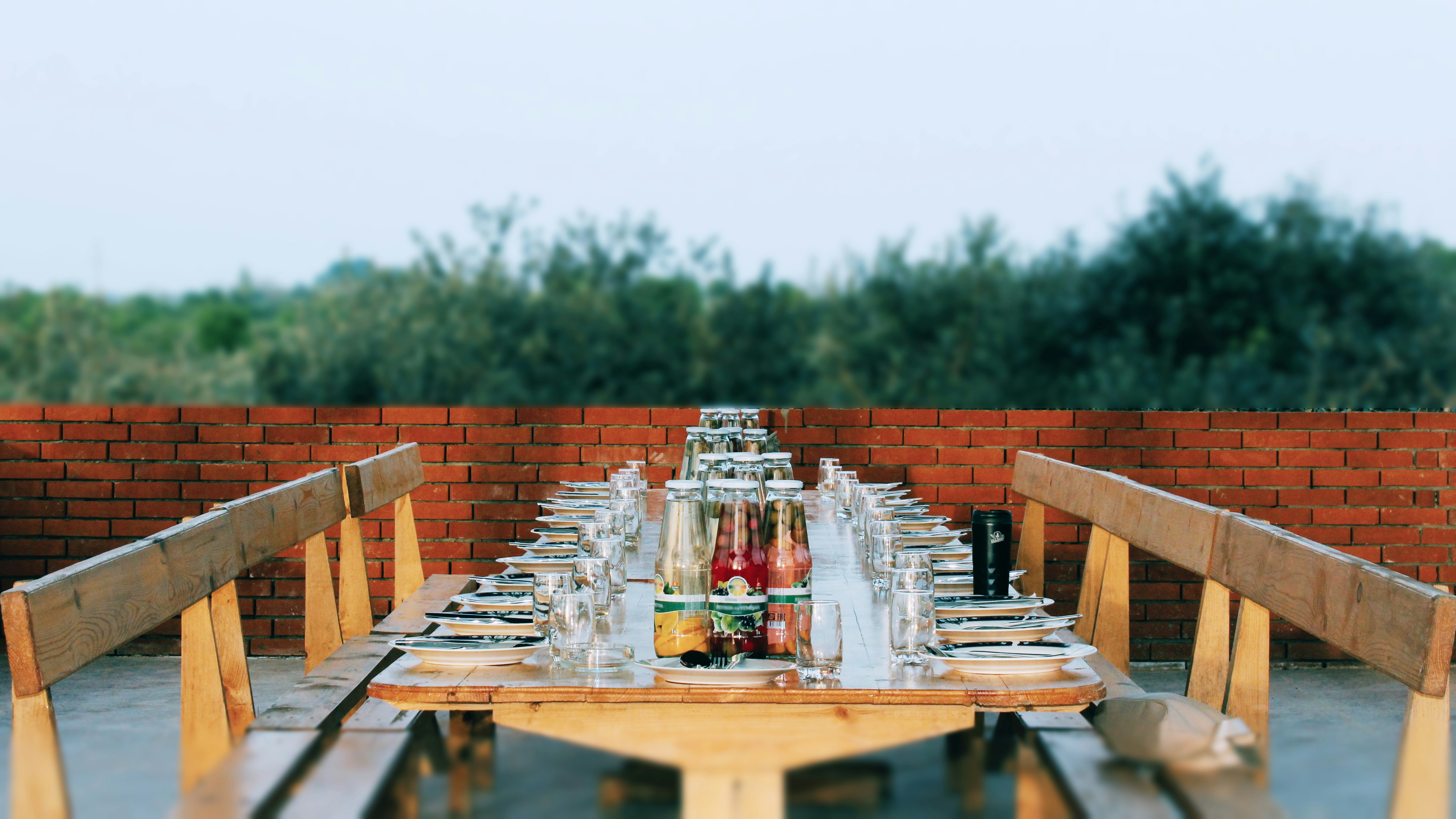 A Feast in Waiting: The Long Table Experience