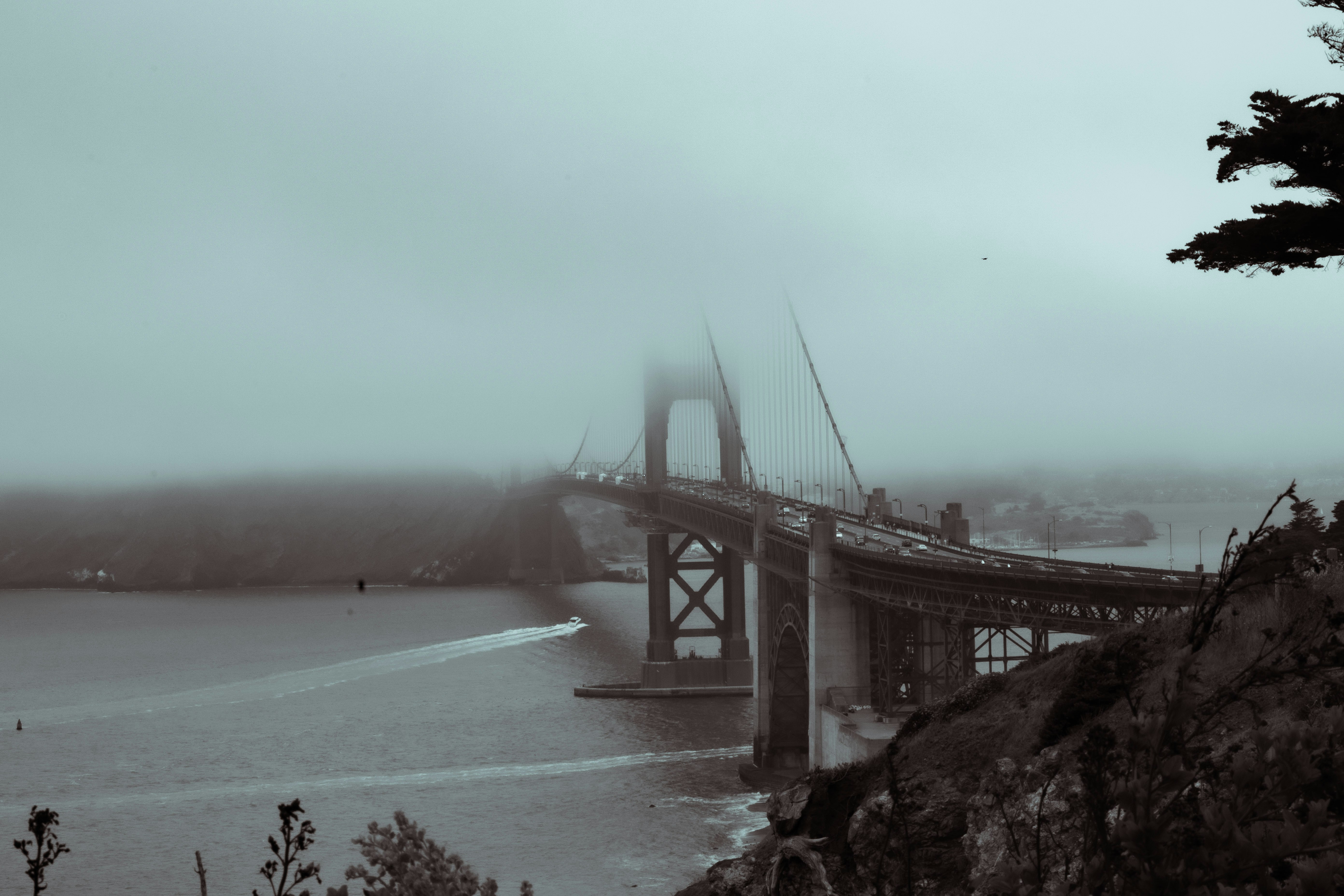 Veil of Fog Over the Golden Gate