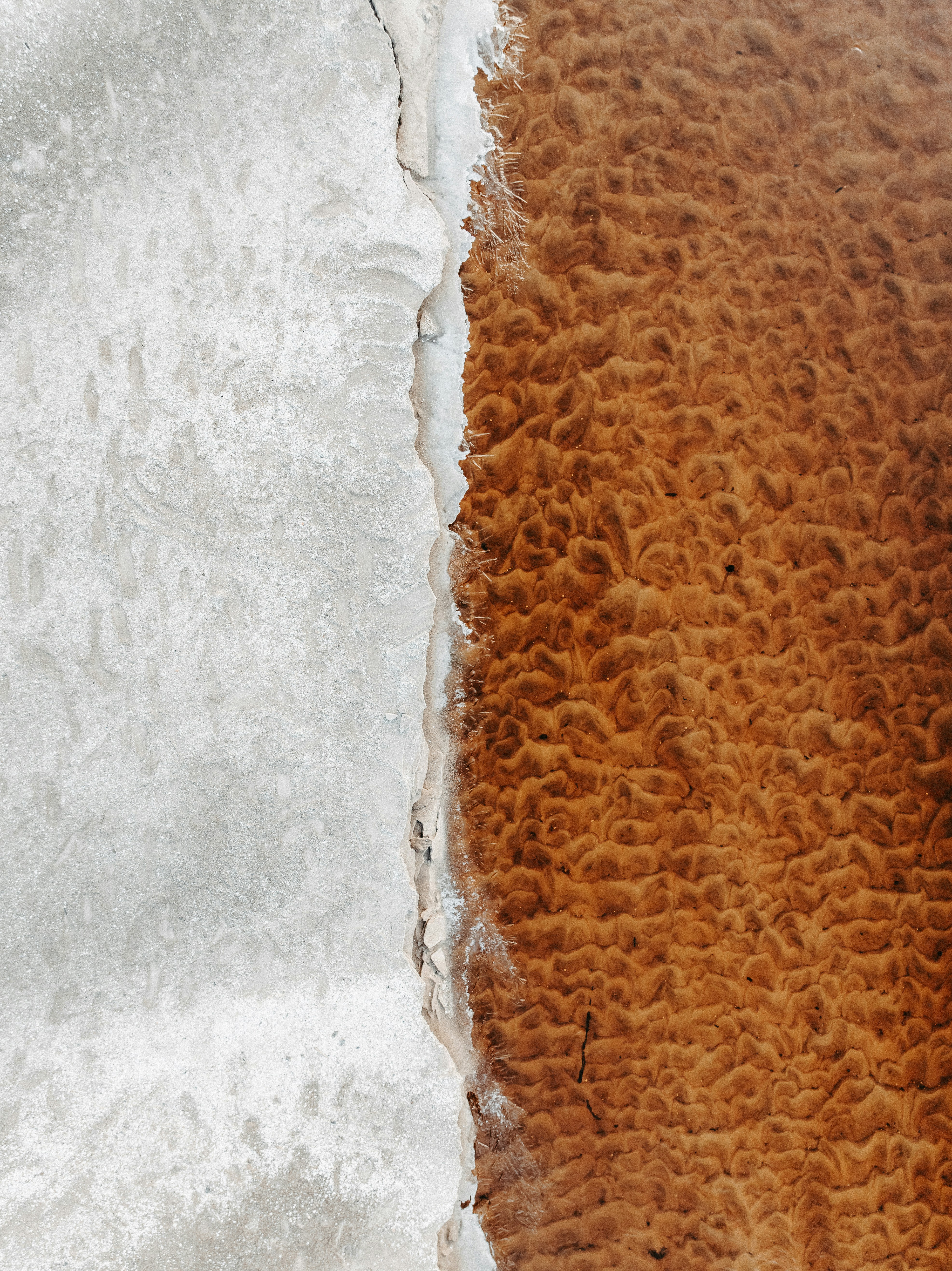 Two textures, side by side. photo – Free Texture Image on Unsplash