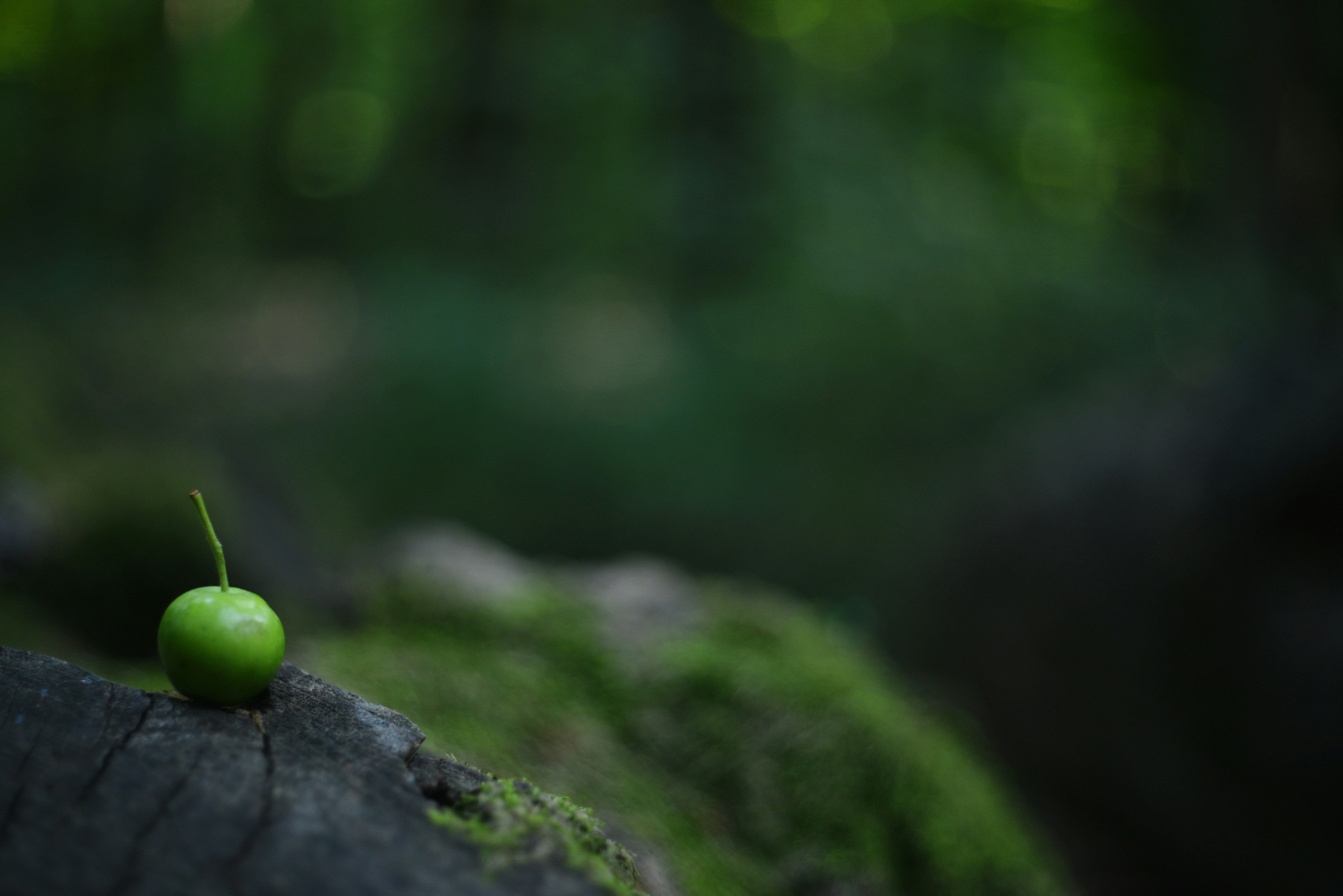 Emerald Sphere on Nature's Canvas