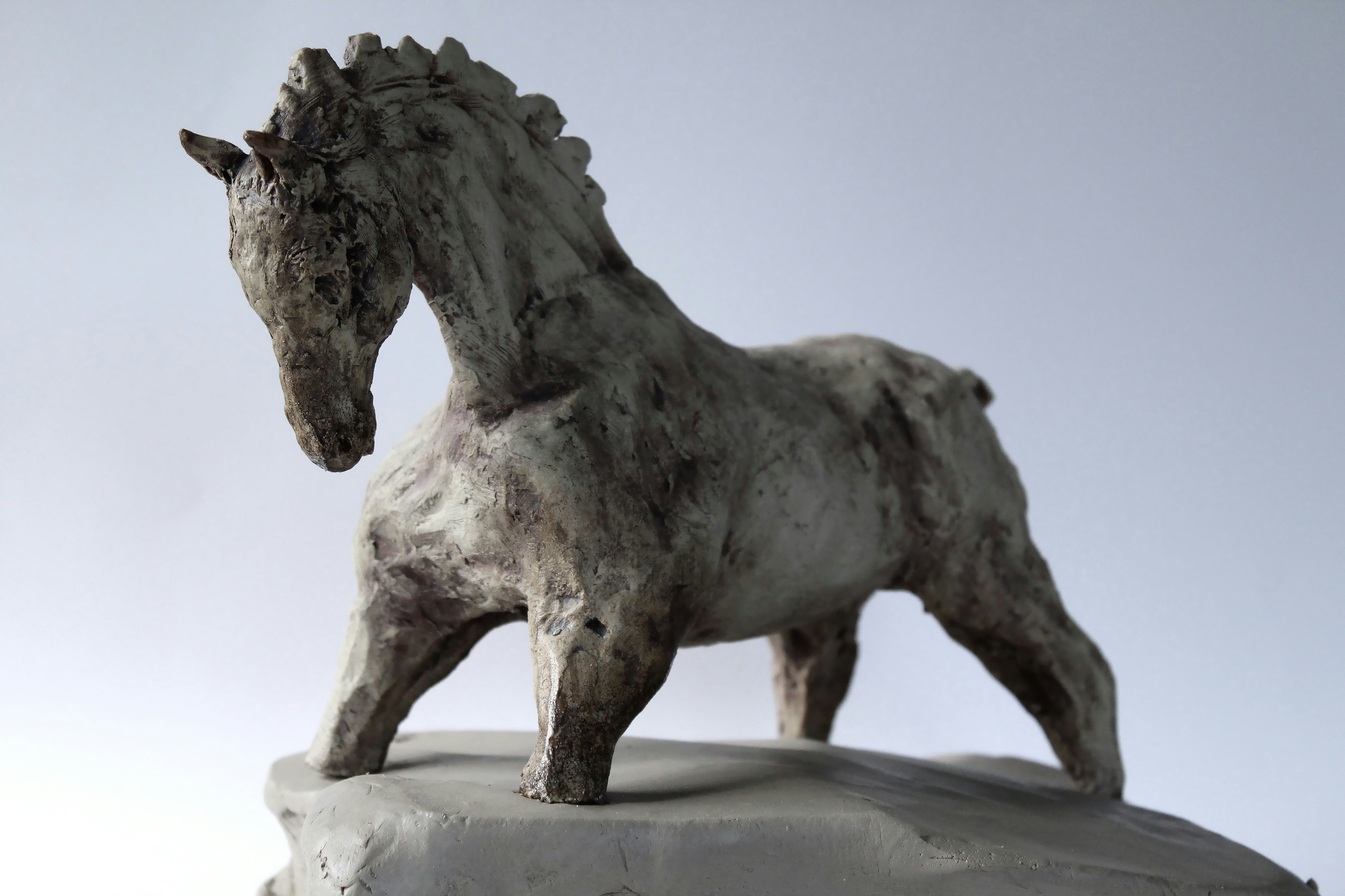 Anne Nygård (@polarmermaid) | Unsplash Photo Community