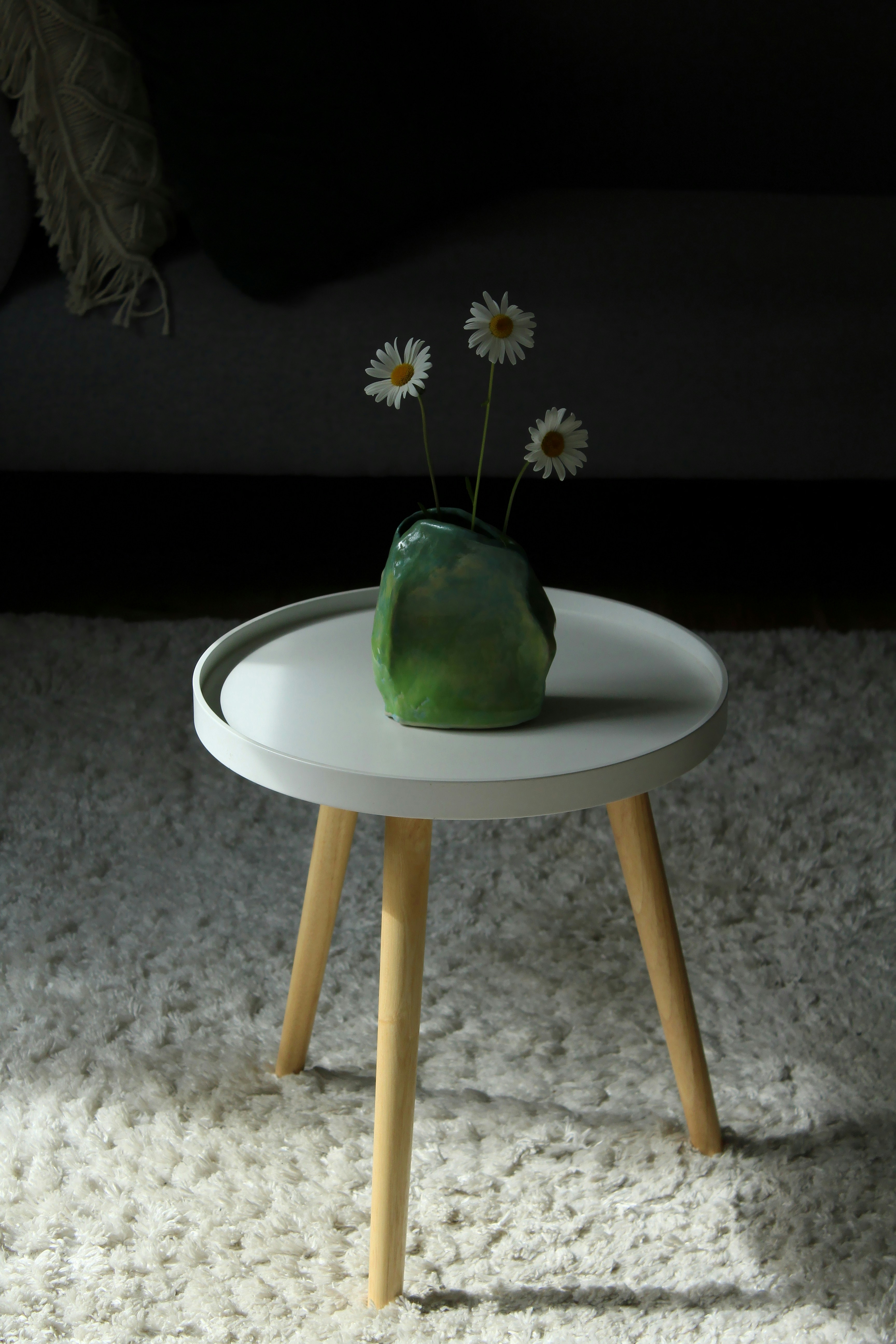 Whispers of Nature: A Minimalist Still Life