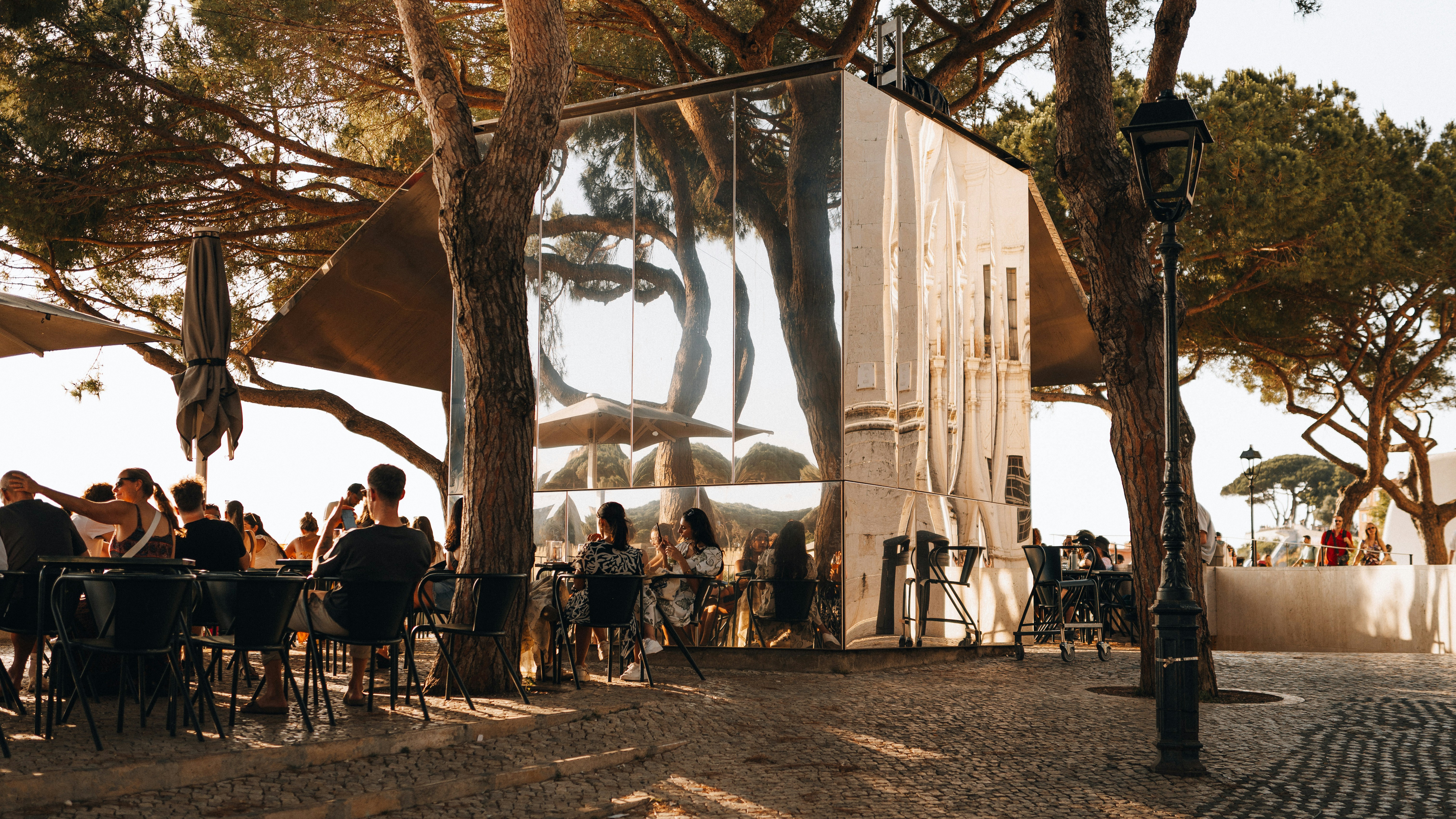 Reflections of Lively Gatherings