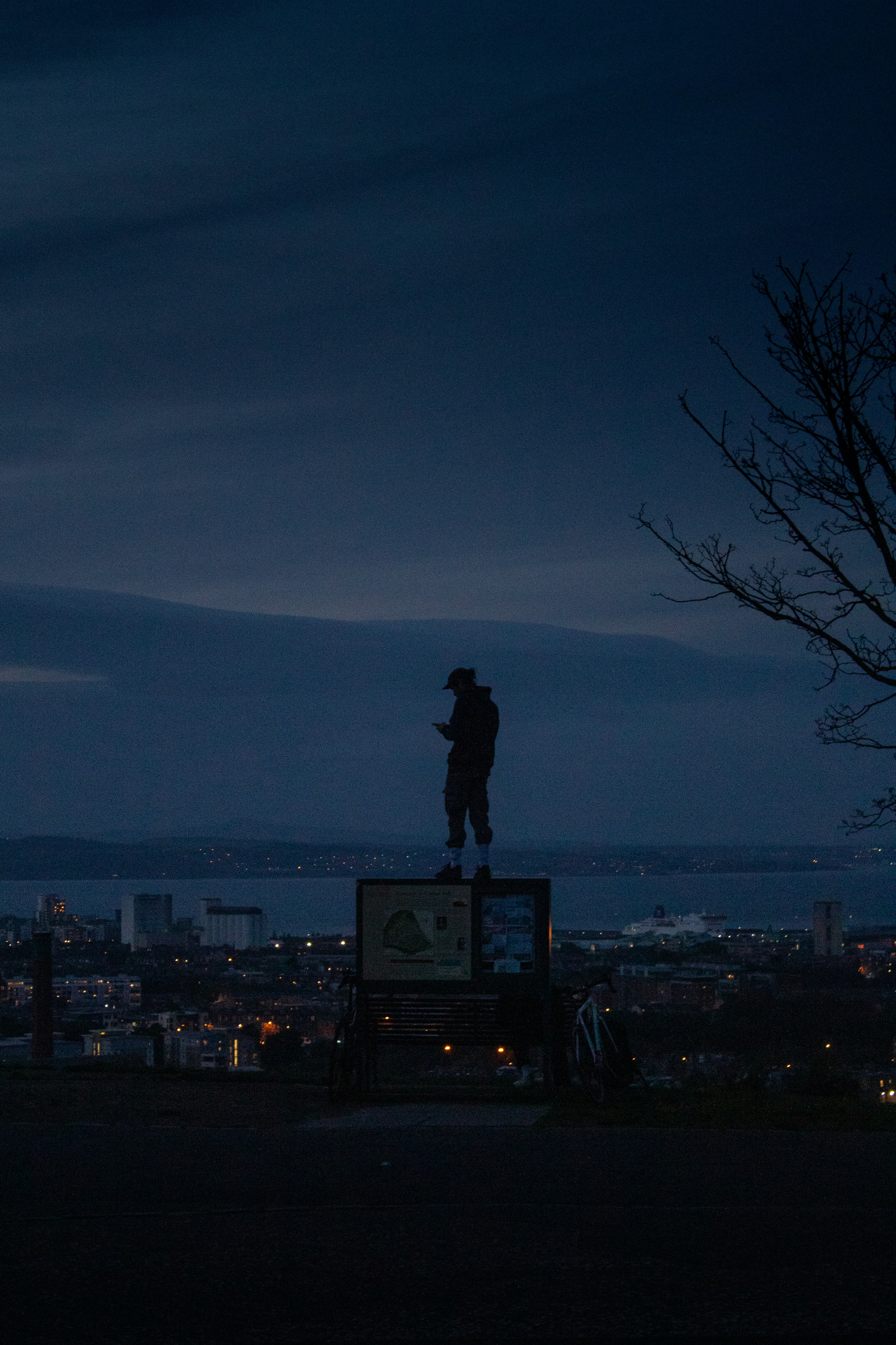 A solitary figure stands atop a viewpoint, engrossed in a device, overlooking a sprawling urban landscape at dusk.