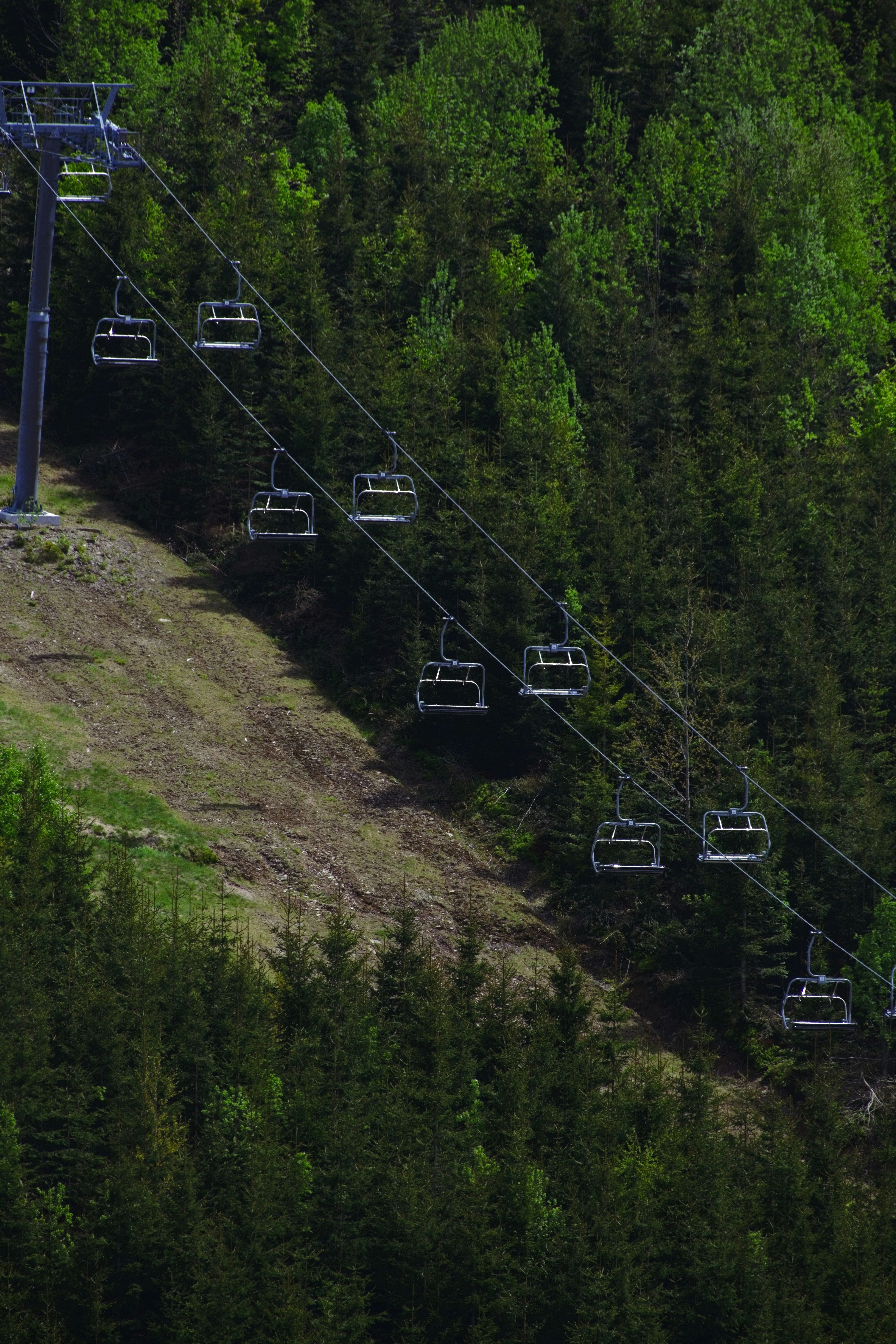 Cable Car Mattress: Lines of Steel Between Pine