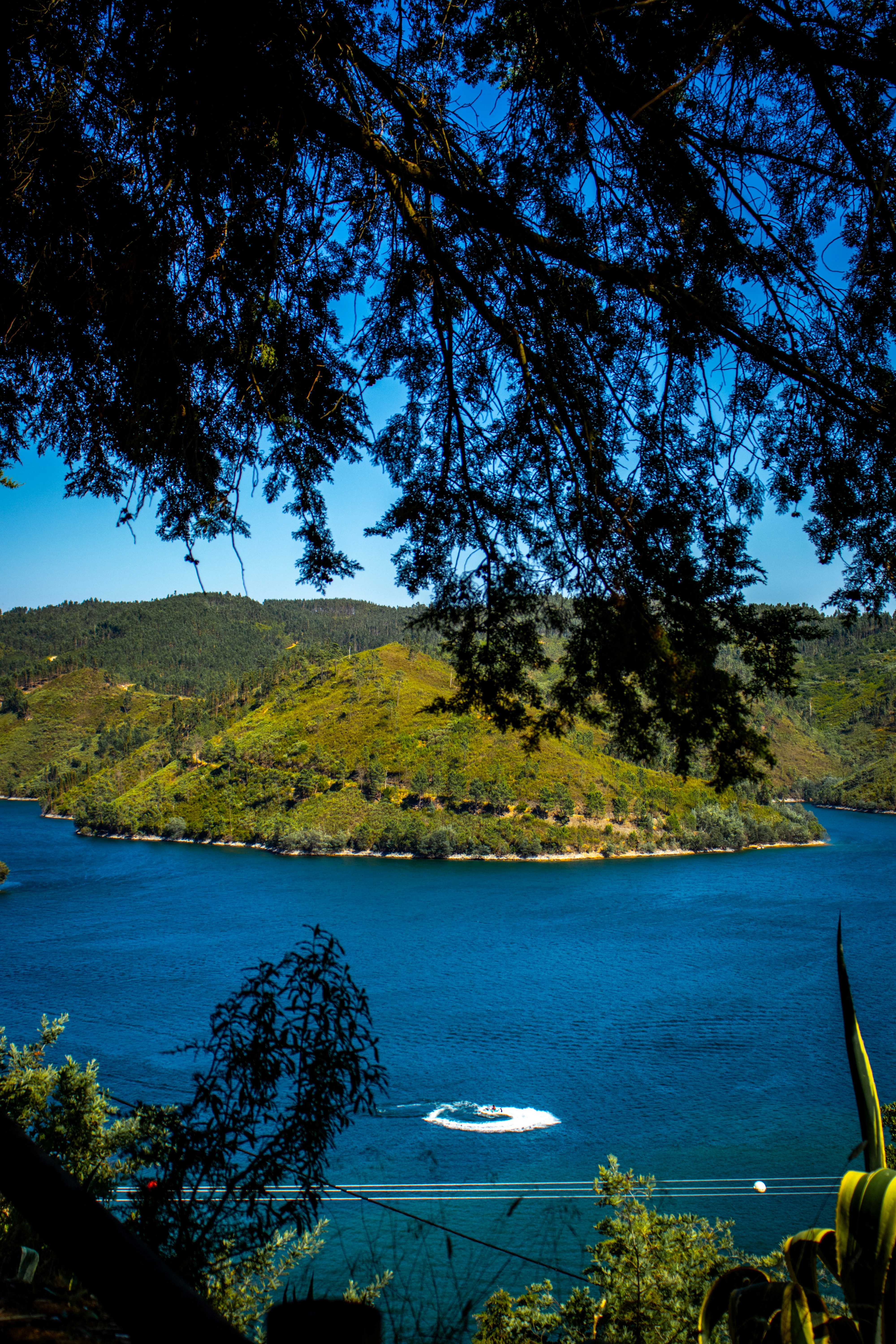 Nature's Embrace: The Hidden Cove
