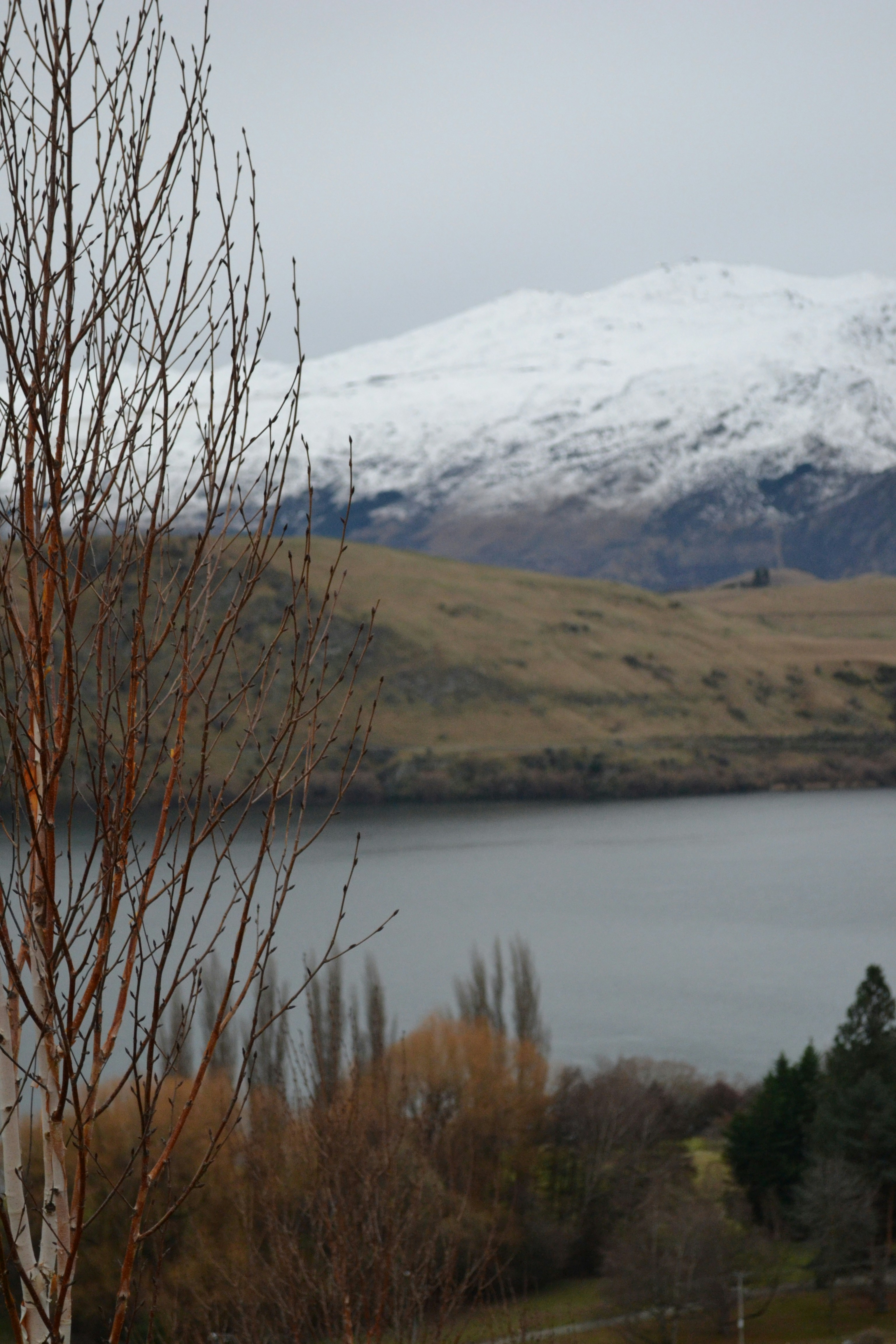 Snow-Capped Ridge Framed by Bare Foreground Over a Serene Lake