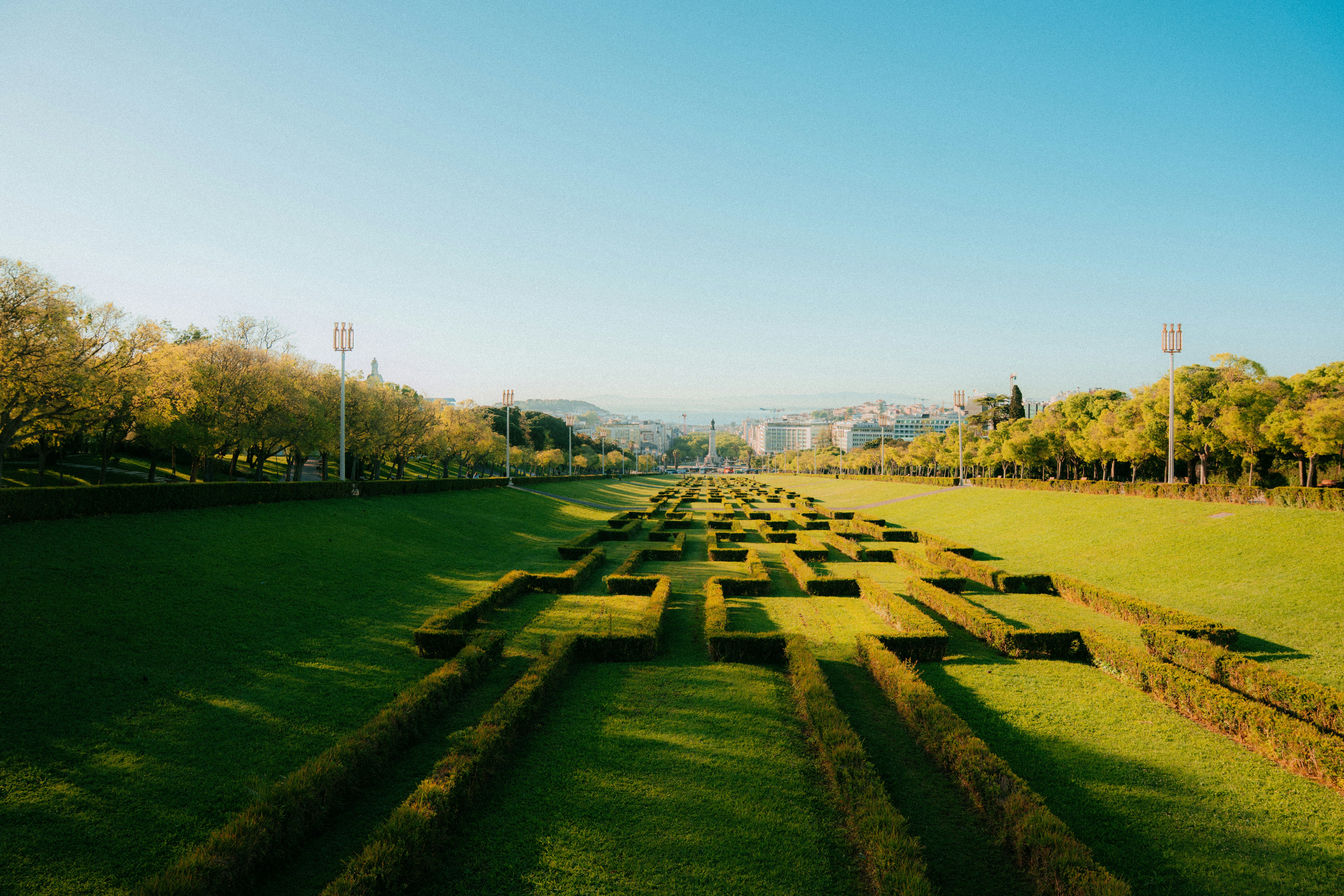 Lush manicured hedges create geometric patterns in a vibrant park under a clear blue sky.