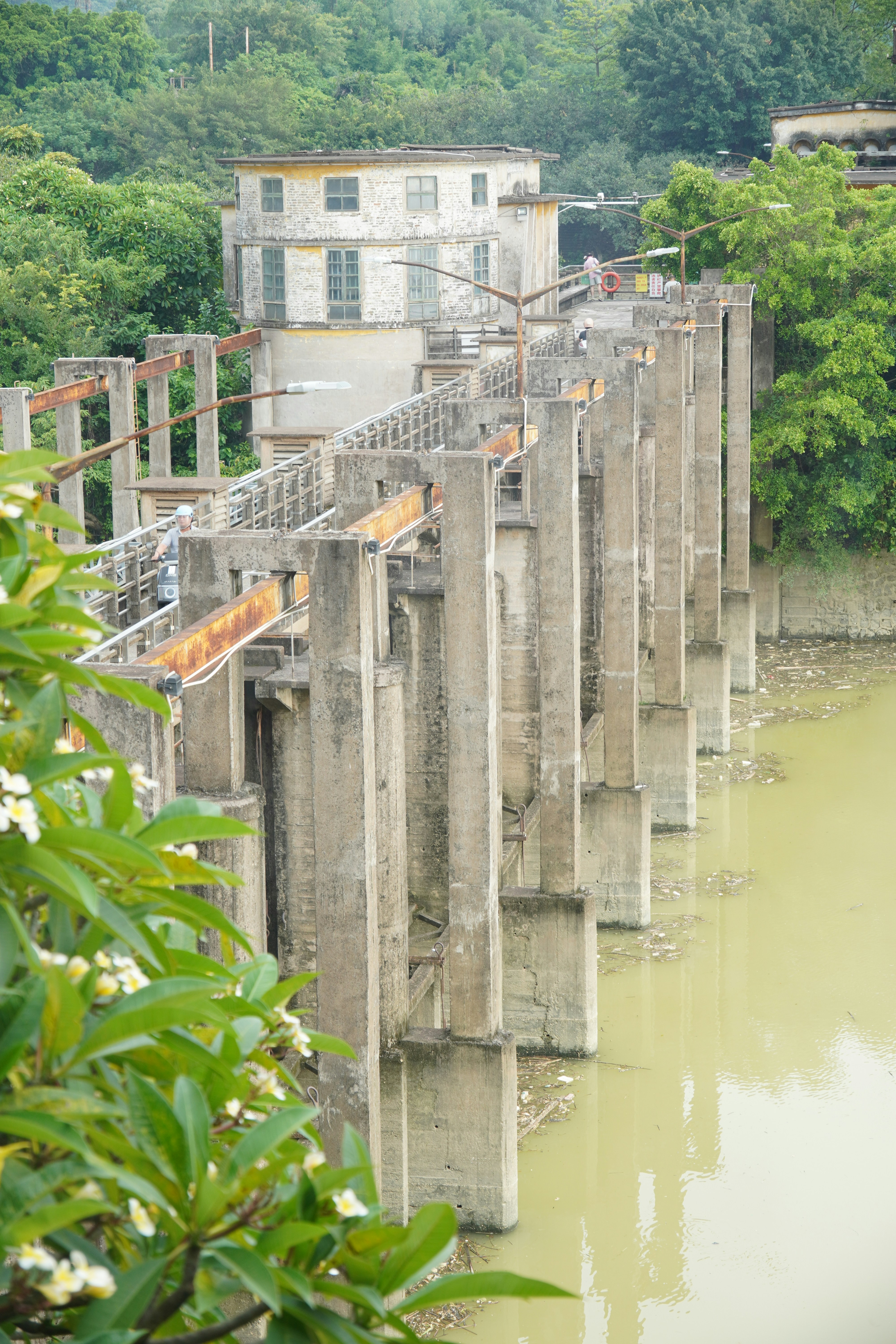 Echoes of Industry: The Abandoned Waterworks